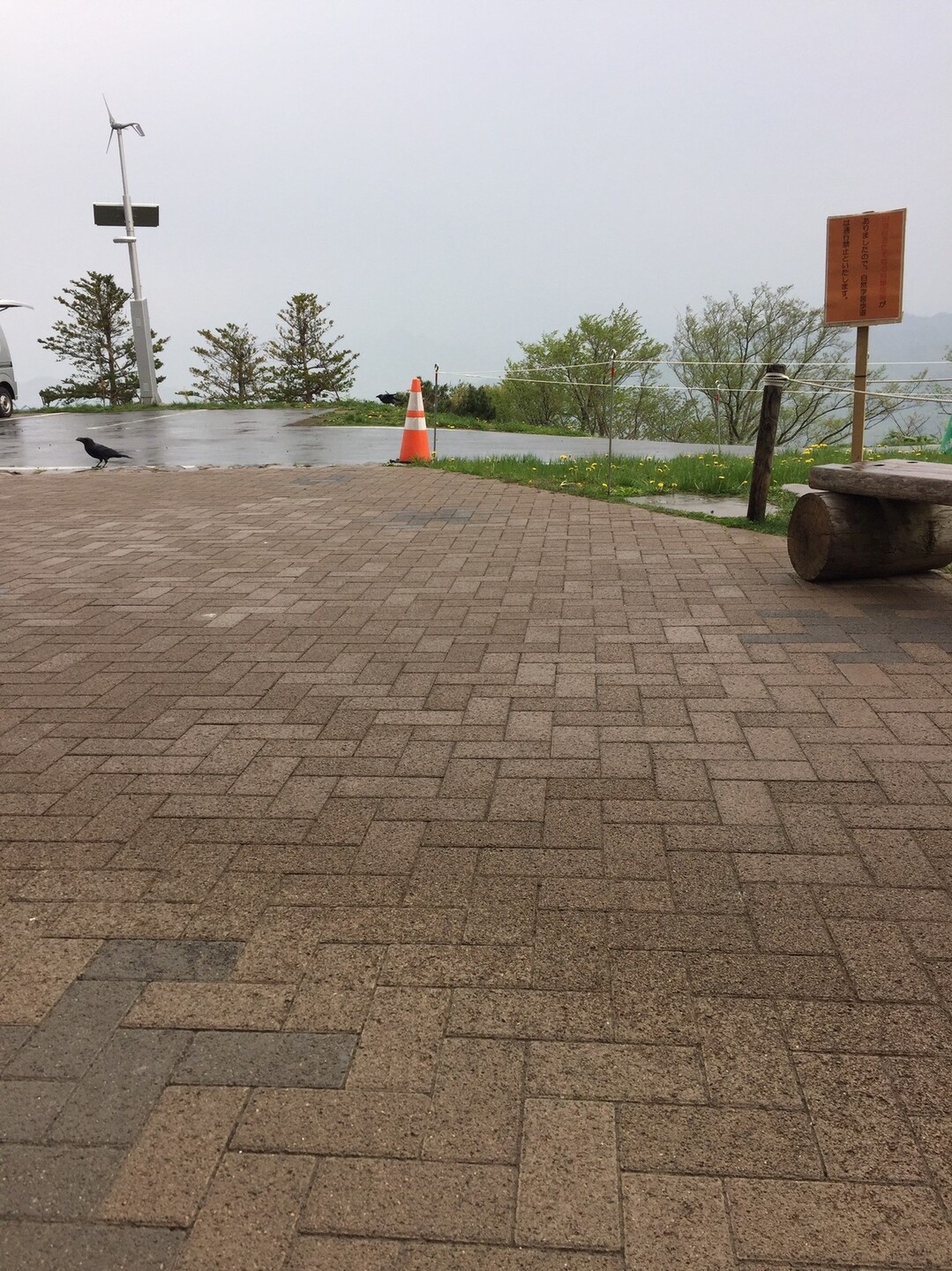 あき時間に旭山記念公園口から / naotoさんの藻岩山の活動データ | YAMAP / ヤマップ