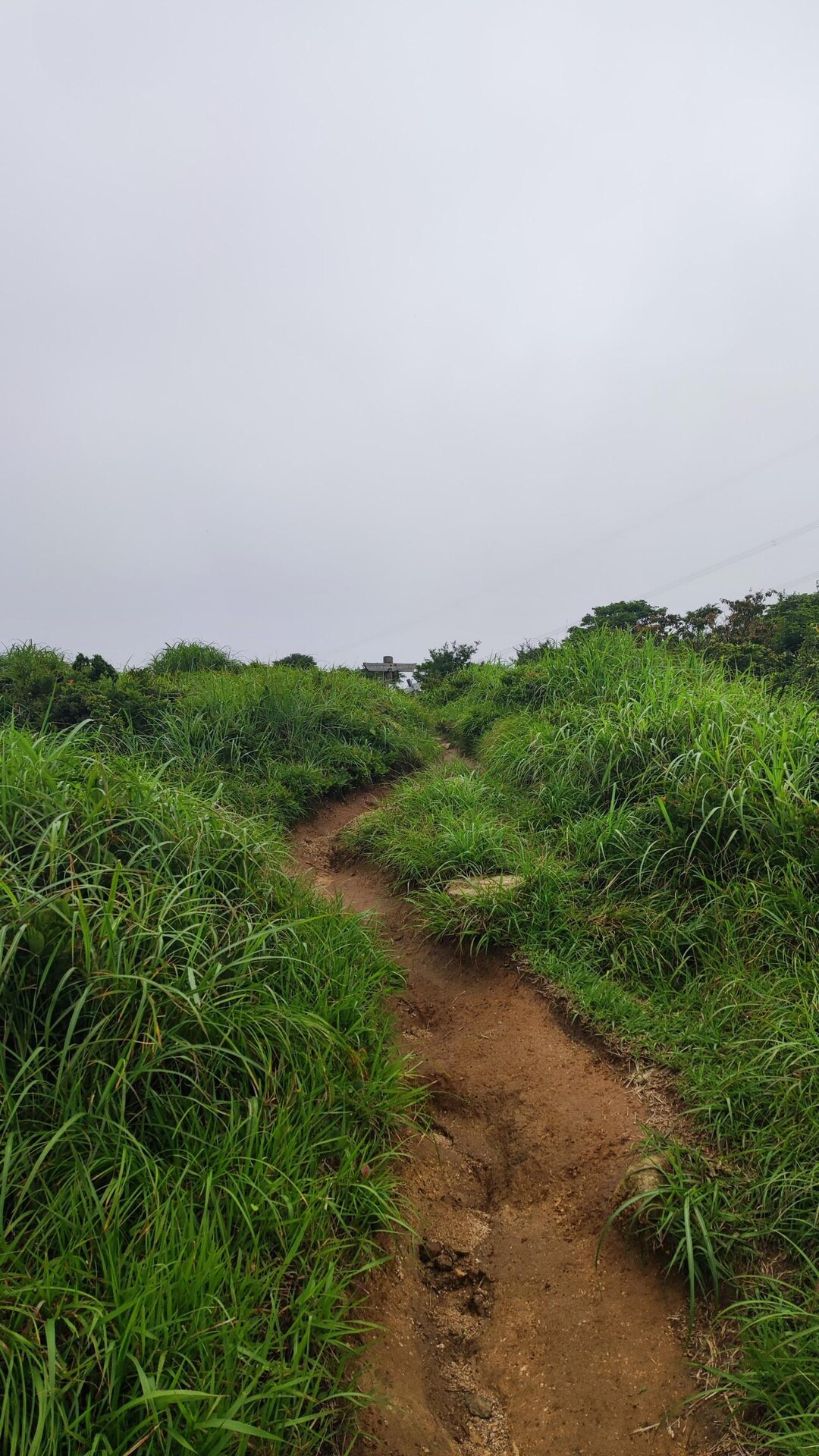 赤坂山・寒風標高800mの草原歩き / ジョージちゃんさんの三国山・乗鞍岳・赤坂山の活動データ | YAMAP / ヤマップ
