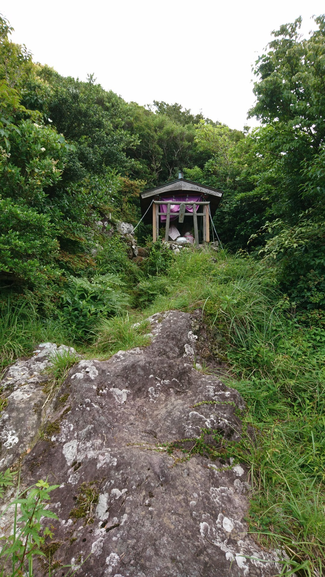 吾妻岳 / kiyo 096さんの雲仙岳・普賢岳・絹笠山の活動データ | YAMAP / ヤマップ