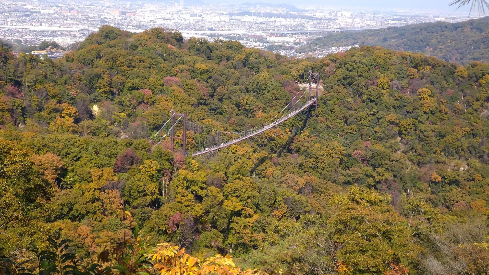 星のブランコ / misoyanさんの交野山・国見山の活動データ | YAMAP / ヤマップ