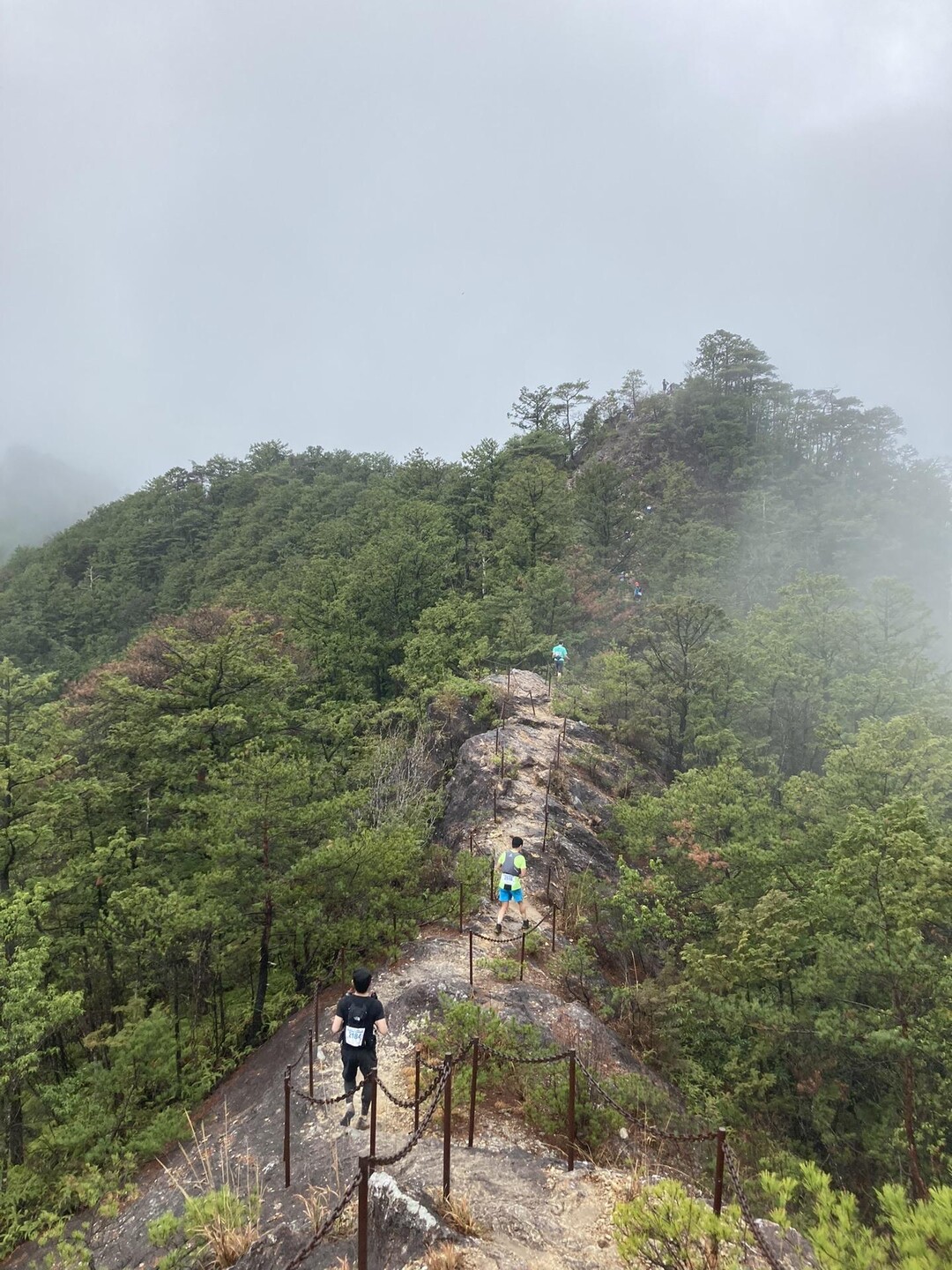 OSJ新城11K 2023-03-25 / ピースさんの宇連山・鳳来寺山・岩古谷山の活動データ | YAMAP / ヤマップ