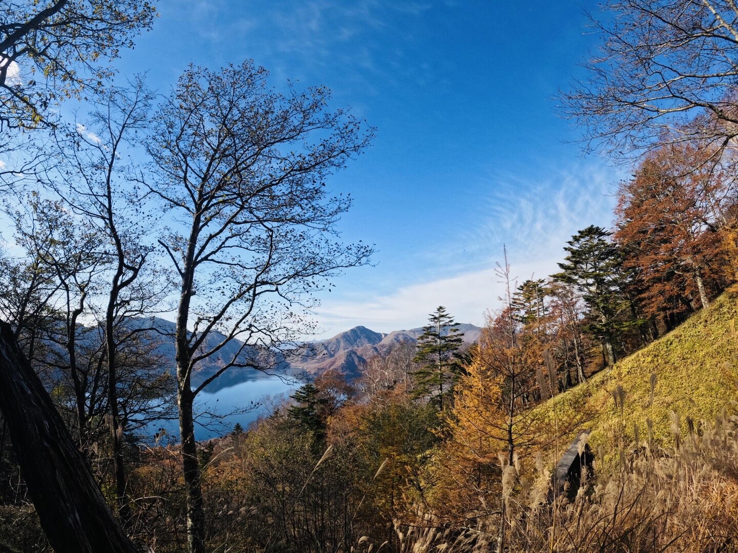男体山 / kokeさんの男体山の活動データ | YAMAP / ヤマップ