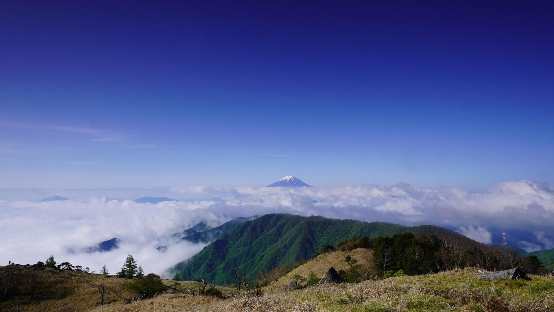 白谷ノ丸 / uchidamaさんの大菩薩嶺・鶏冠山・大マテイ山の活動データ | YAMAP / ヤマップ