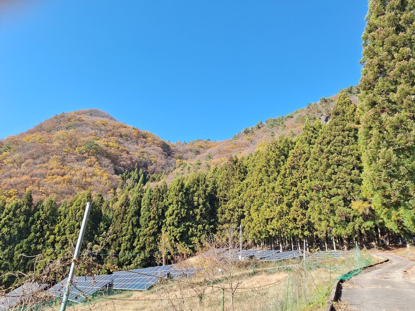 尼巌山～奇妙山 / rokoさんの皆神山・尼厳山・奇妙山の活動データ | YAMAP / ヤマップ