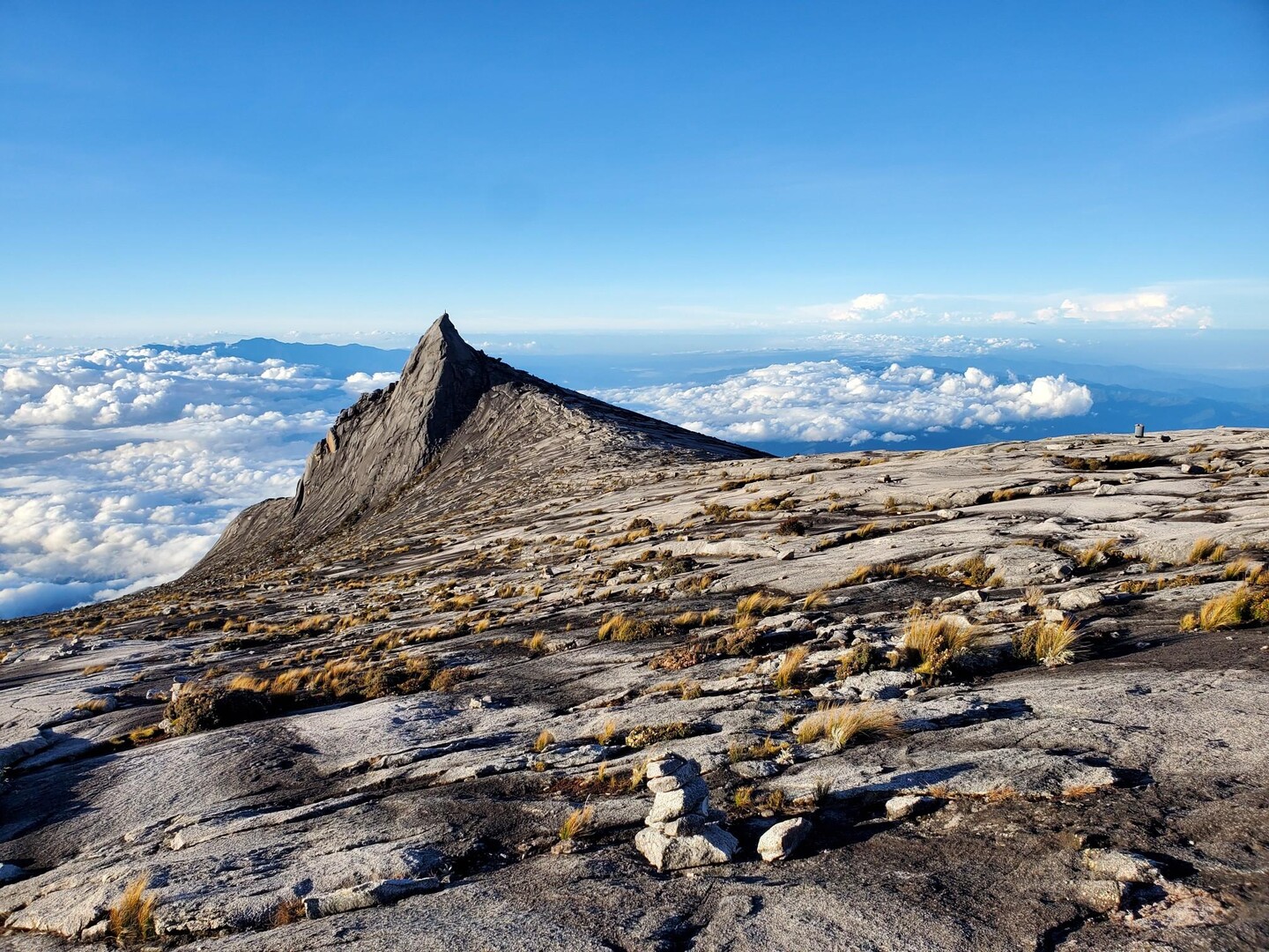 夫婦でキナバル山に登頂！！(4095m,ボルネオ島)【長文レビュー】 / いーぬい⛰山ごはん屋🍳さんのキナバル山の活動データ | YAMAP / ヤマップ