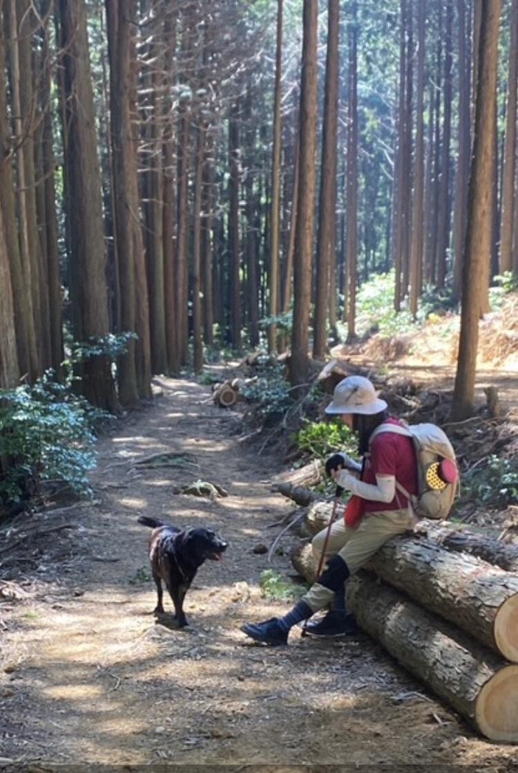 みかん、my love いつも私をやさし... / みかん🐕‍🦺🍊さんのモーメント | YAMAP / ヤマップ