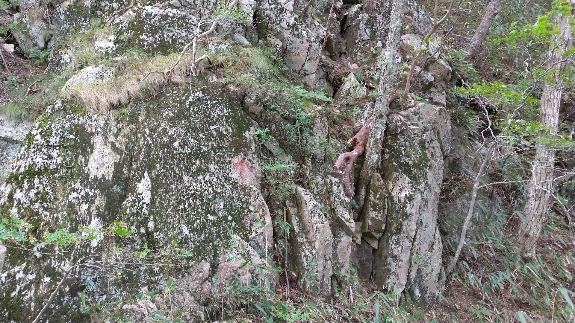 二ツ箭山(709.7m)登山で一番のお勧... / Higgins🎹さんのモーメント | YAMAP / ヤマップ