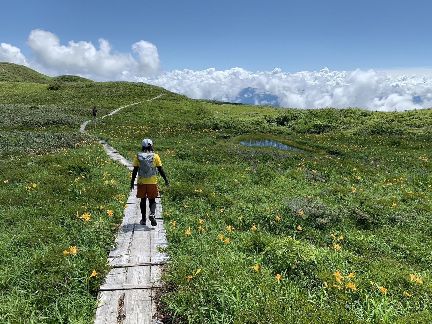 白木峰ではじめまして～ / milkyさんの白木峰・小白木峰の活動データ | YAMAP / ヤマップ