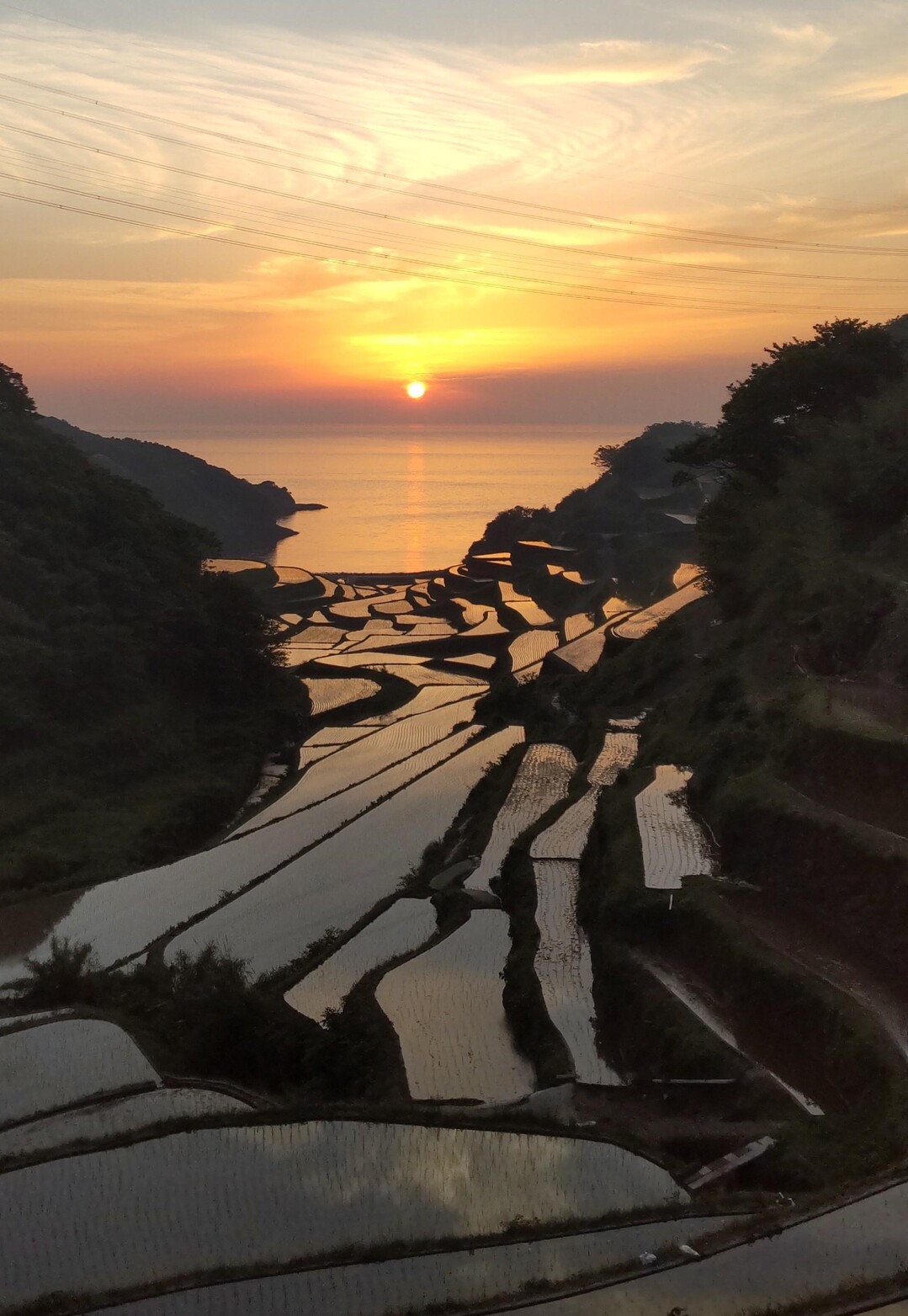 【浜野浦の棚田】 佐賀県玄海町の北西部に... / NAOKINGさんのモーメント | YAMAP / ヤマップ