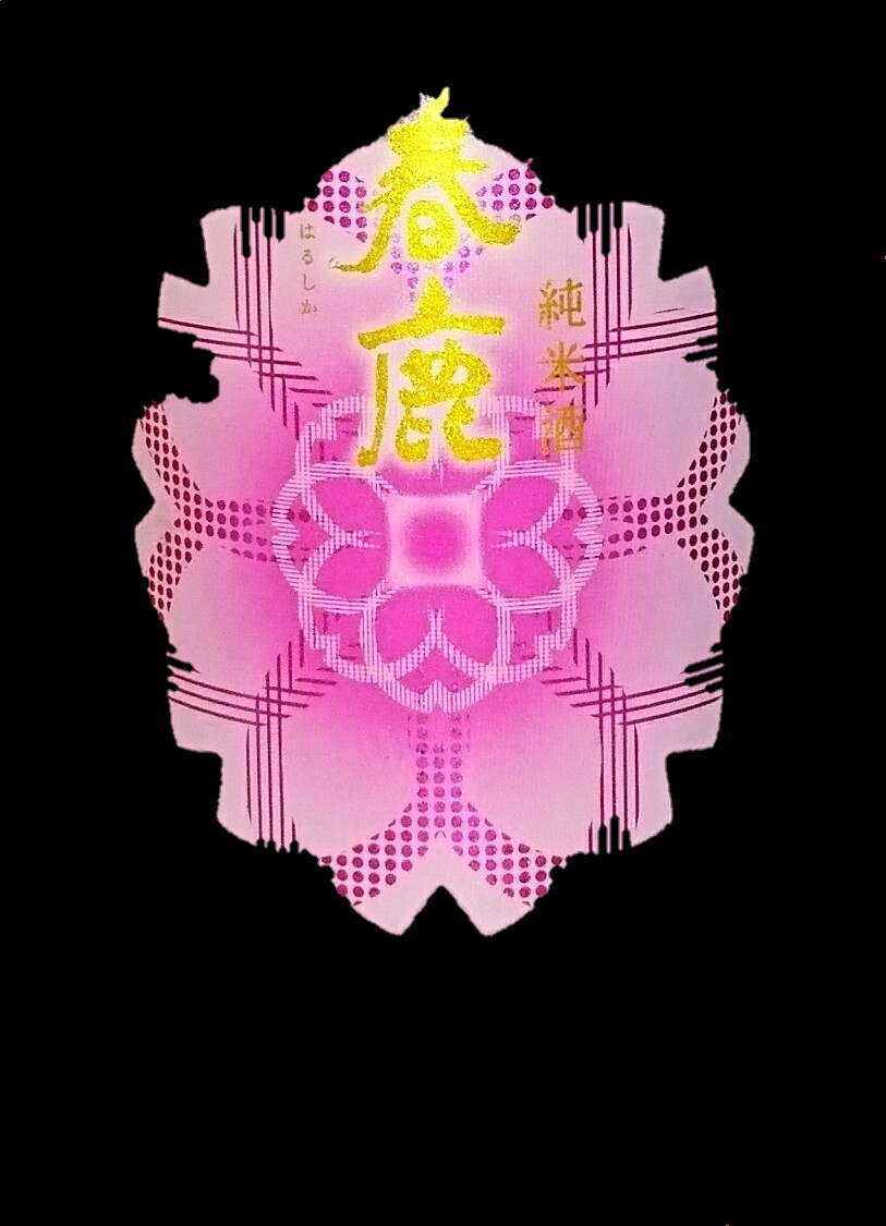 SAKURA SAKEのページ | YAMAP / ヤマップ