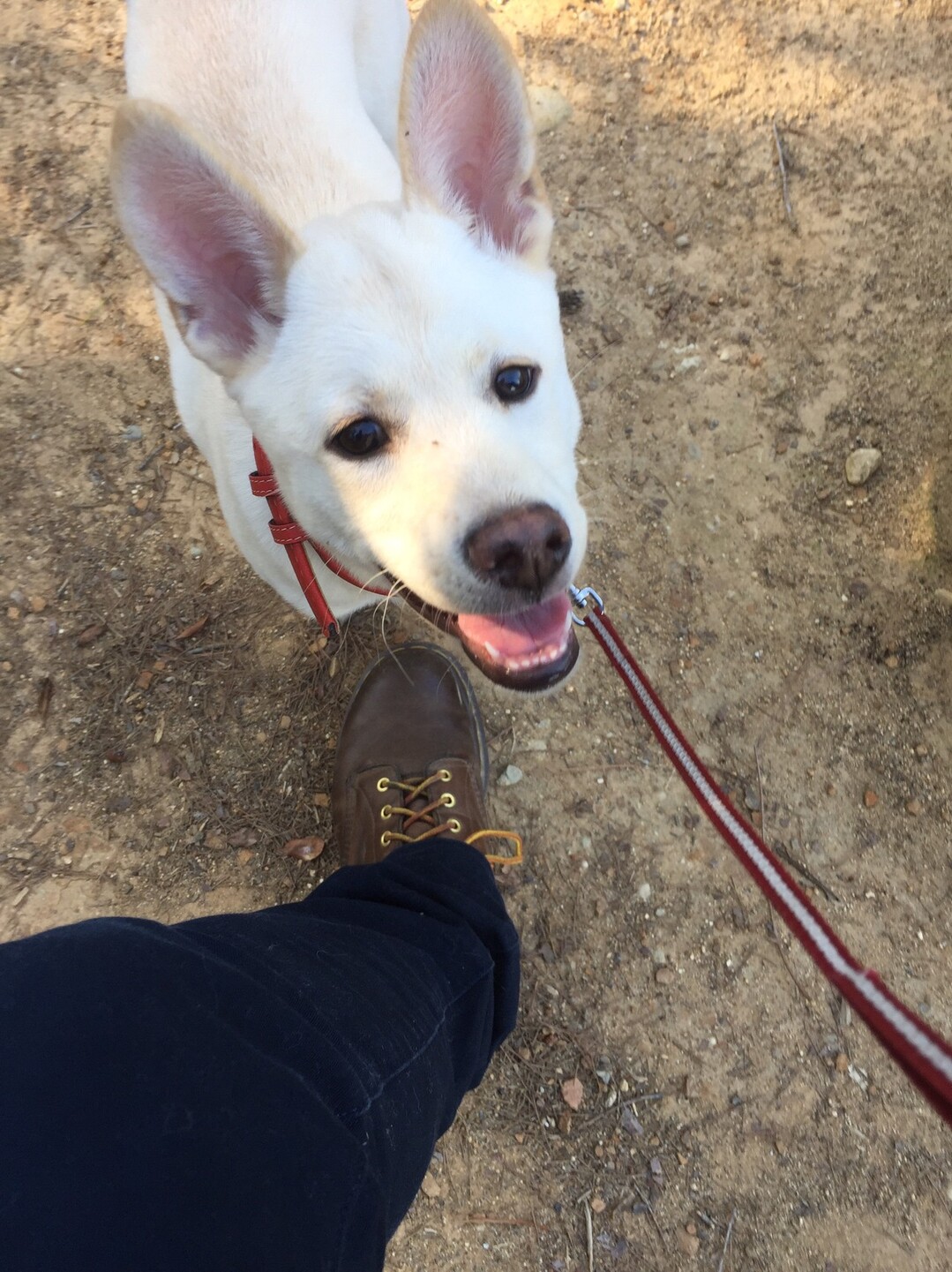 魚見山 / HIGE（SOU）さんの岡山市（中区）の活動データ | YAMAP / ヤマップ