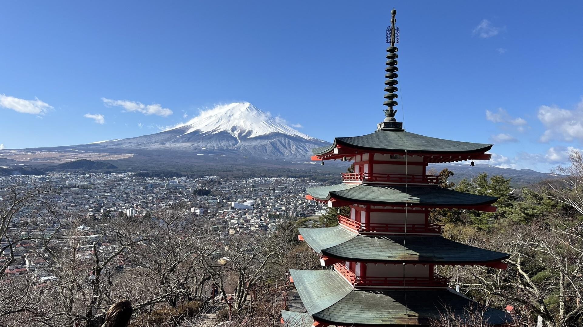 新倉山・御殿・霜山・天上山 / popeesanさんの三ッ峠山・本社ヶ丸・鶴ヶ鳥屋山の活動データ | YAMAP / ヤマップ