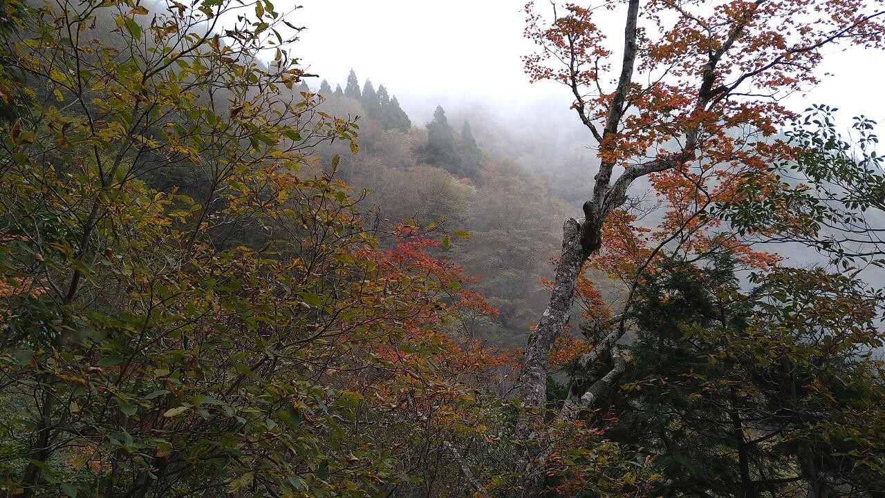 後山・笛石山 / LIONさんの後山・船木山・駒の尾山の活動データ | YAMAP / ヤマップ