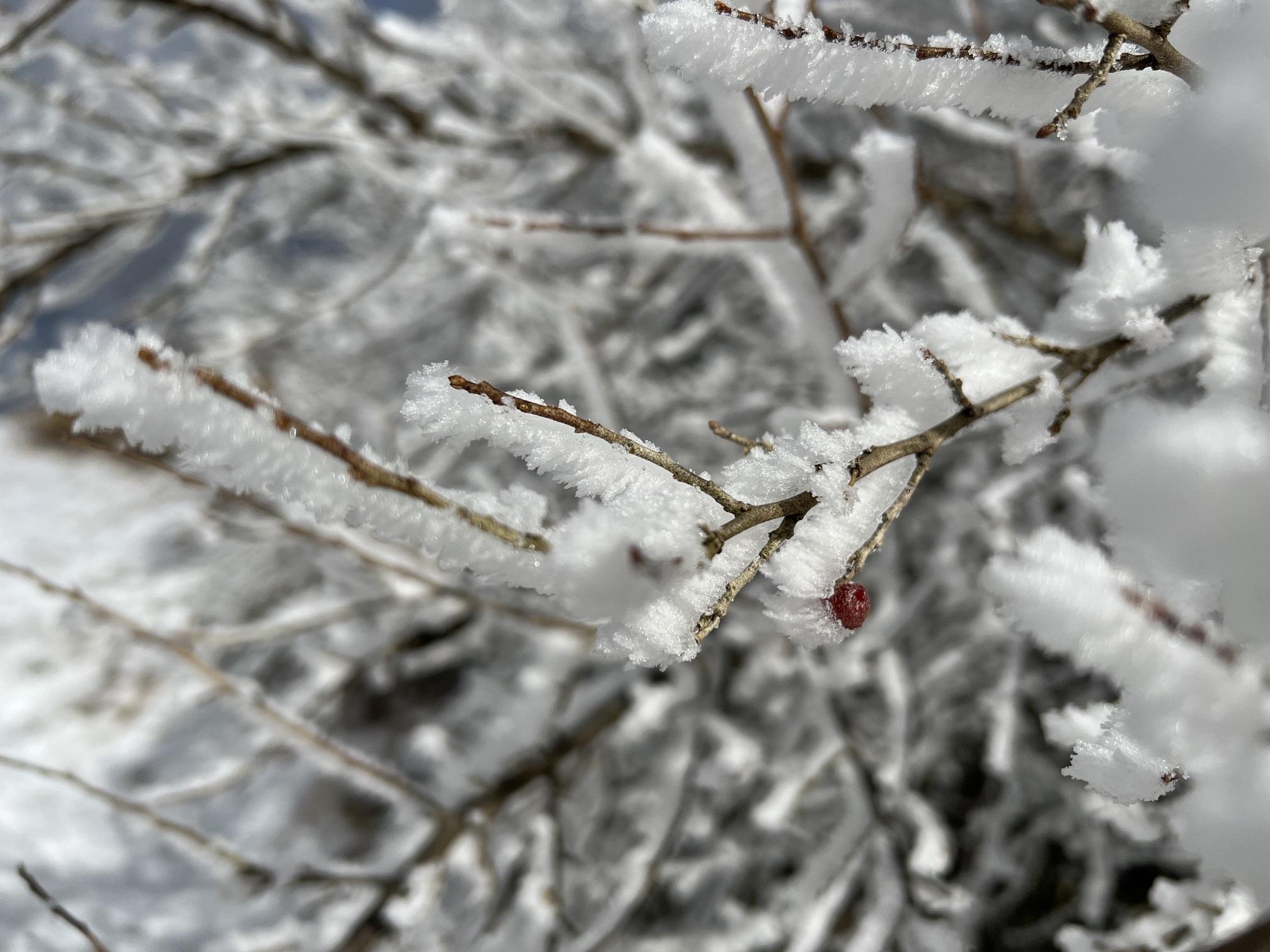 後鉢巻山・六甲山 / HALさんの六甲山・長峰山・摩耶山の活動データ | YAMAP / ヤマップ