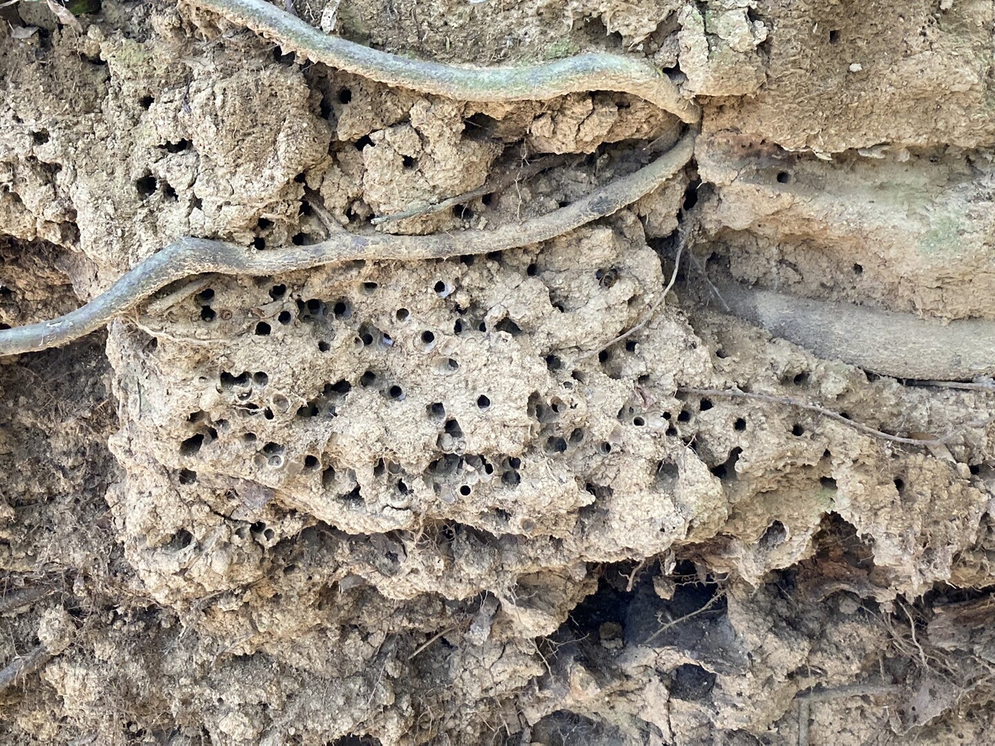 hiyoさんの投稿したフィールドメモ | YAMAP / ヤマップ