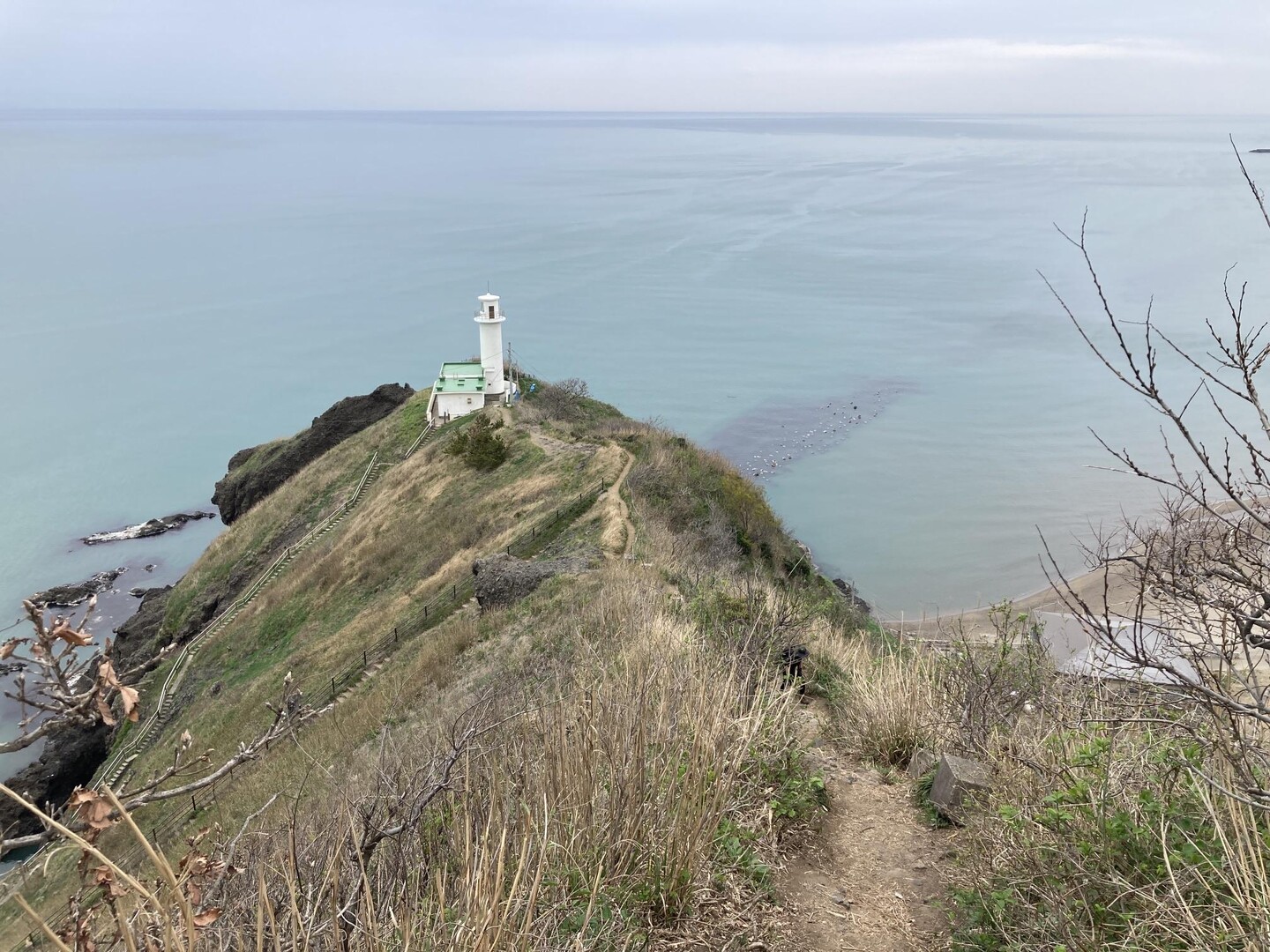 角田山（長者原山） / hi-chanさんの角田山の活動データ | YAMAP / ヤマップ