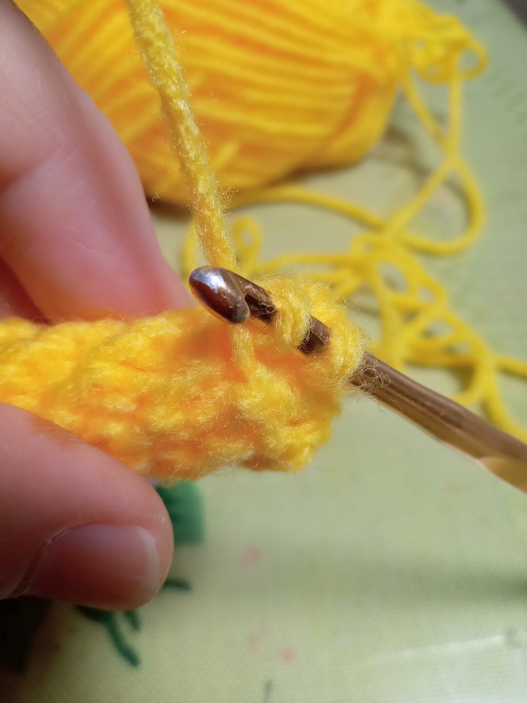 黄色と黒と。 / yuusenさんのモーメント | YAMAP / ヤマップ