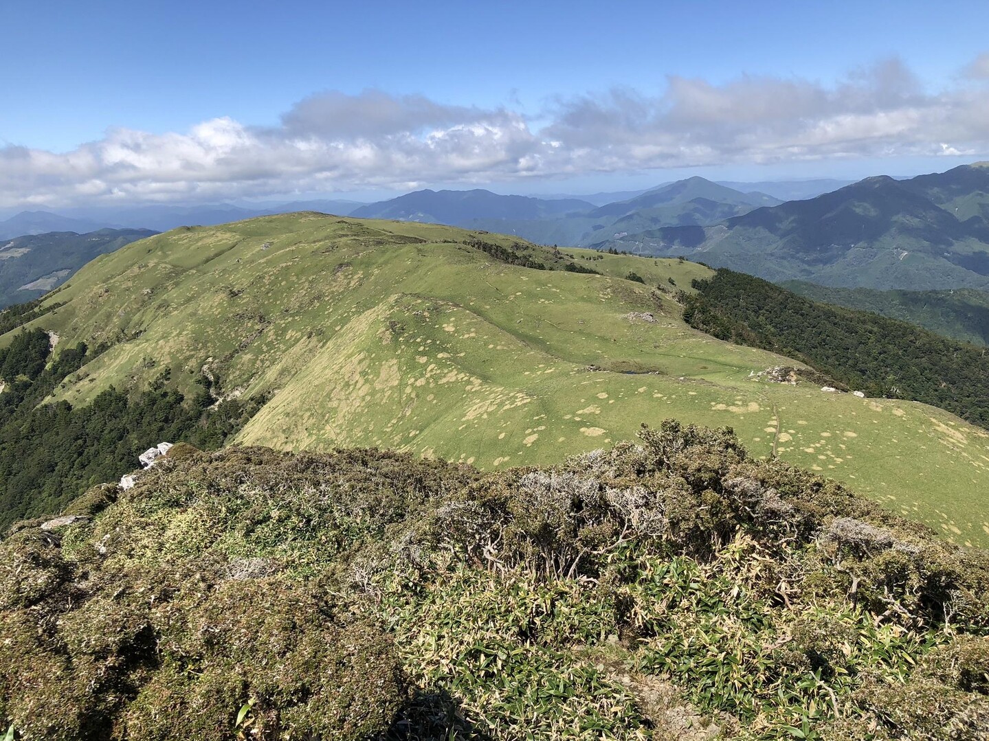 第1ピーク・天狗塚・牛の背 / CHAさんの三嶺・天狗塚・石立山の活動データ | YAMAP / ヤマップ