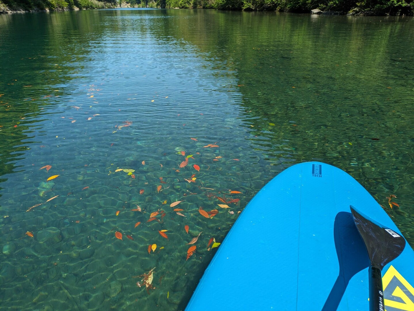 ちょっと早いですが気温が高かったのでSU... / はぎーさんのモーメント | YAMAP / ヤマップ