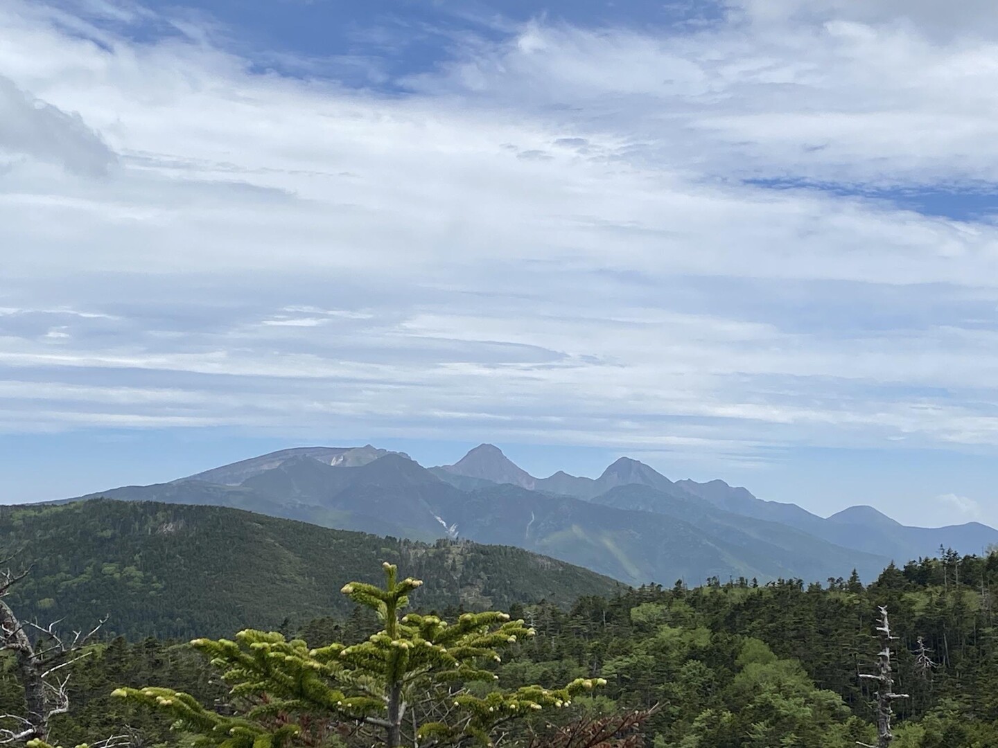 双子山・大岳・北横岳（北峰）・北横岳（南峰）🎦動画あります。🎬 / Pat AKA Cavemanさんの蓼科山・横岳・縞枯山の活動データ | YAMAP / ヤマップ