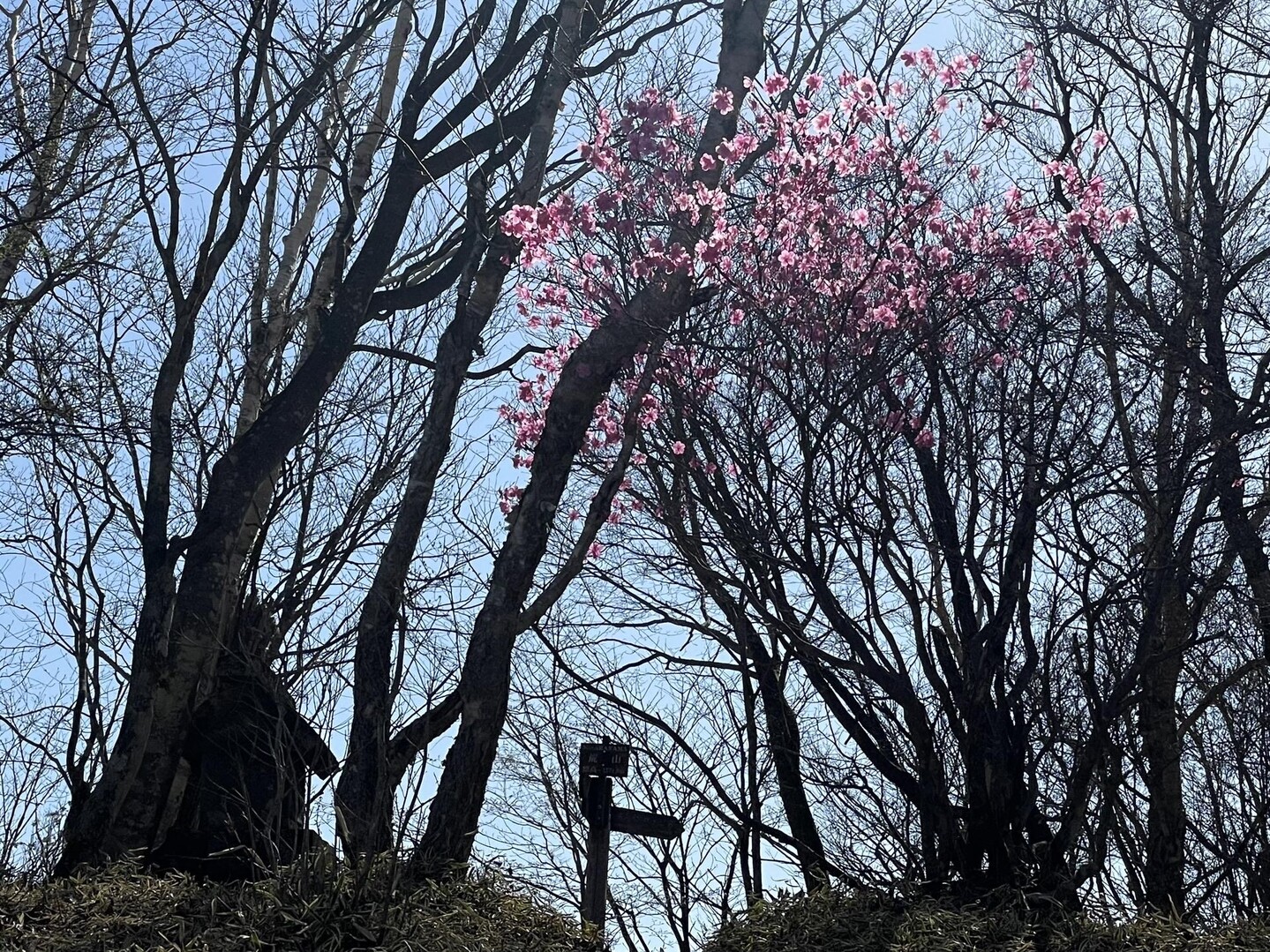 荒山・火起山・竈山・鍋割山 / TAIGAマンさんのヤマノススメ巡礼マップ（赤城山・地蔵岳）の活動日記 | YAMAP / ヤマップ
