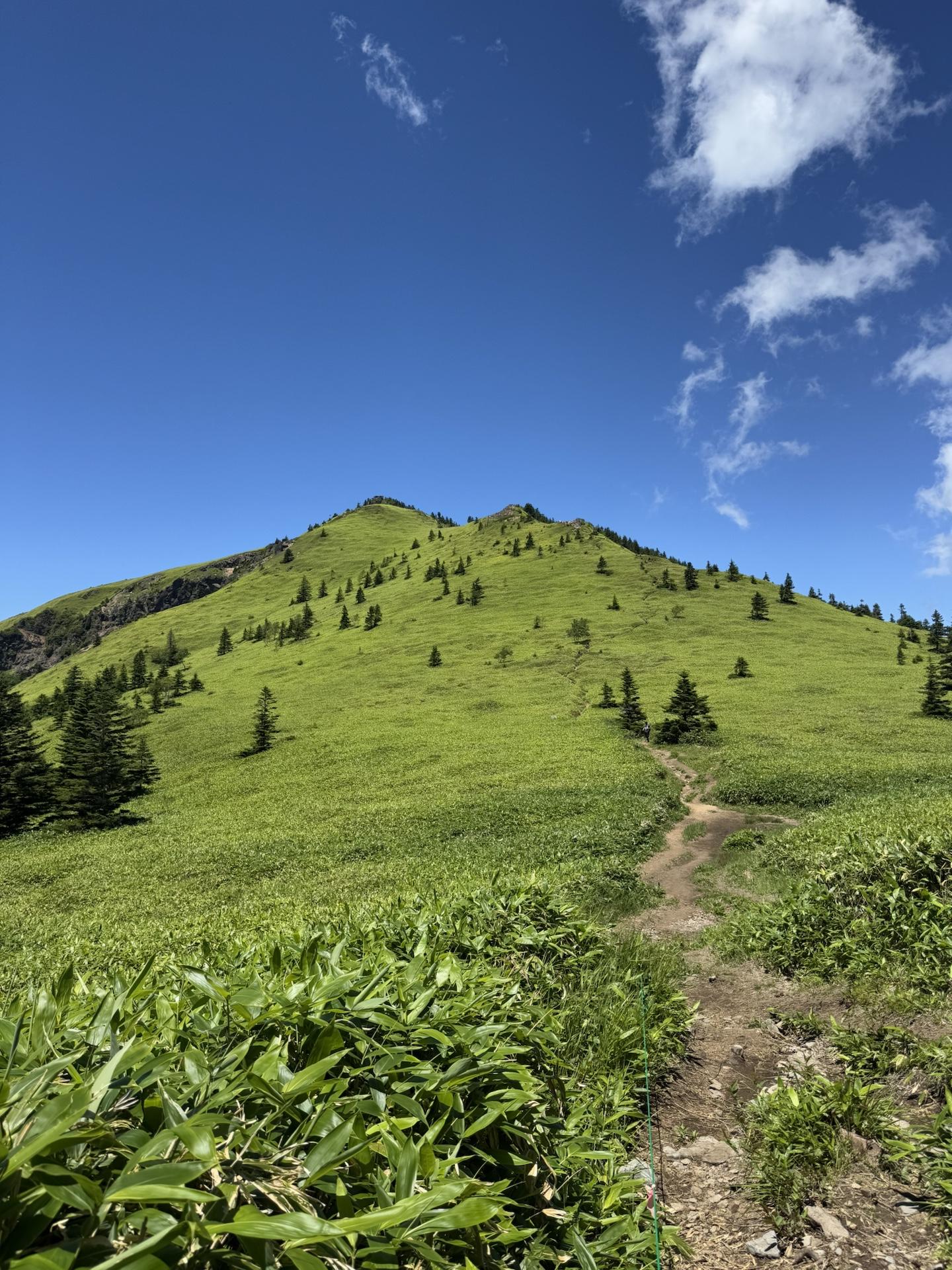 小四阿・中四阿・四阿山・根子岳 / monさんの四阿山・根子岳の活動データ | YAMAP / ヤマップ