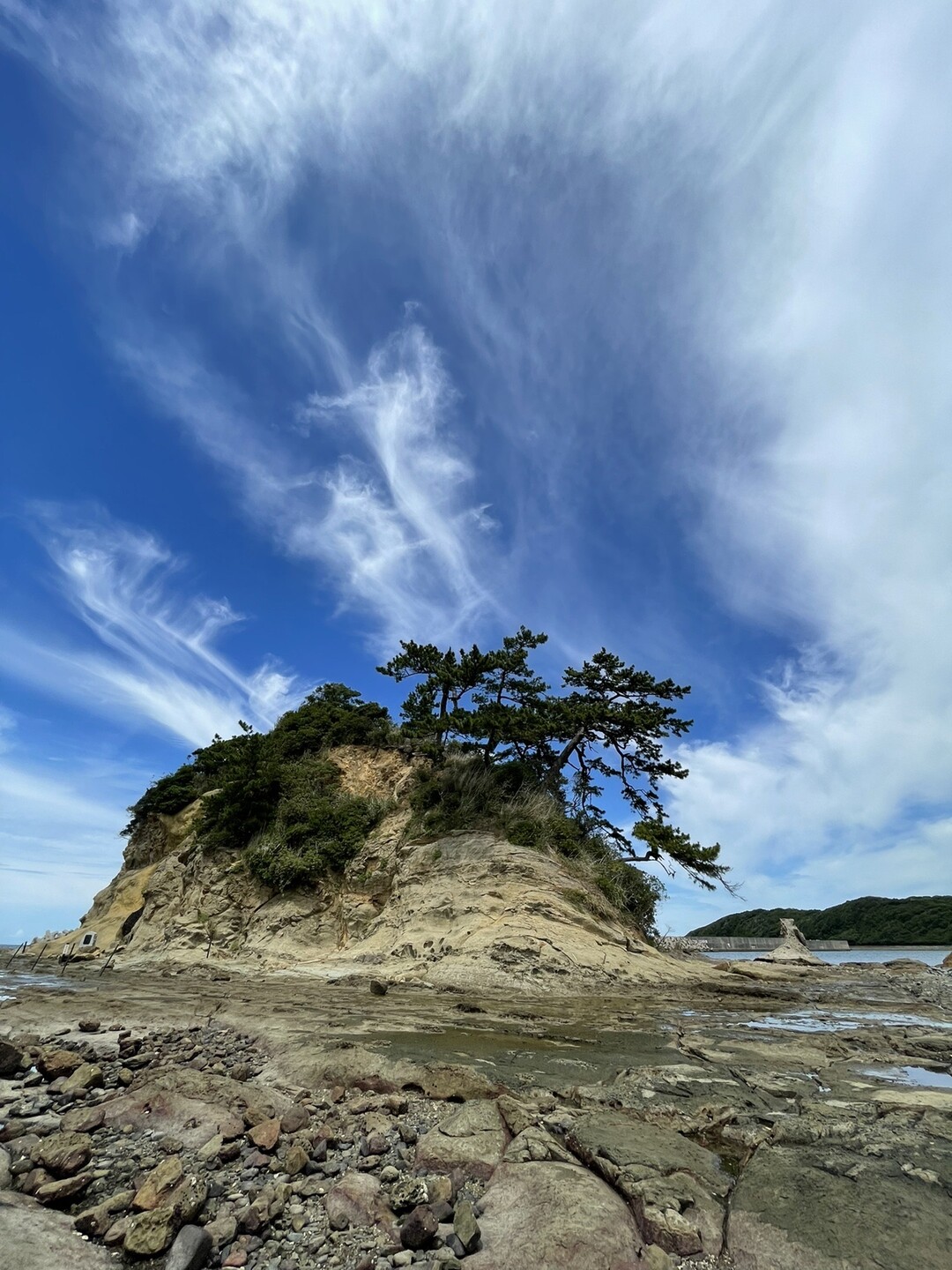 2022.8.9 晴 芦屋でお散歩 ①②... / ケイちゃんさんのモーメント | YAMAP / ヤマップ