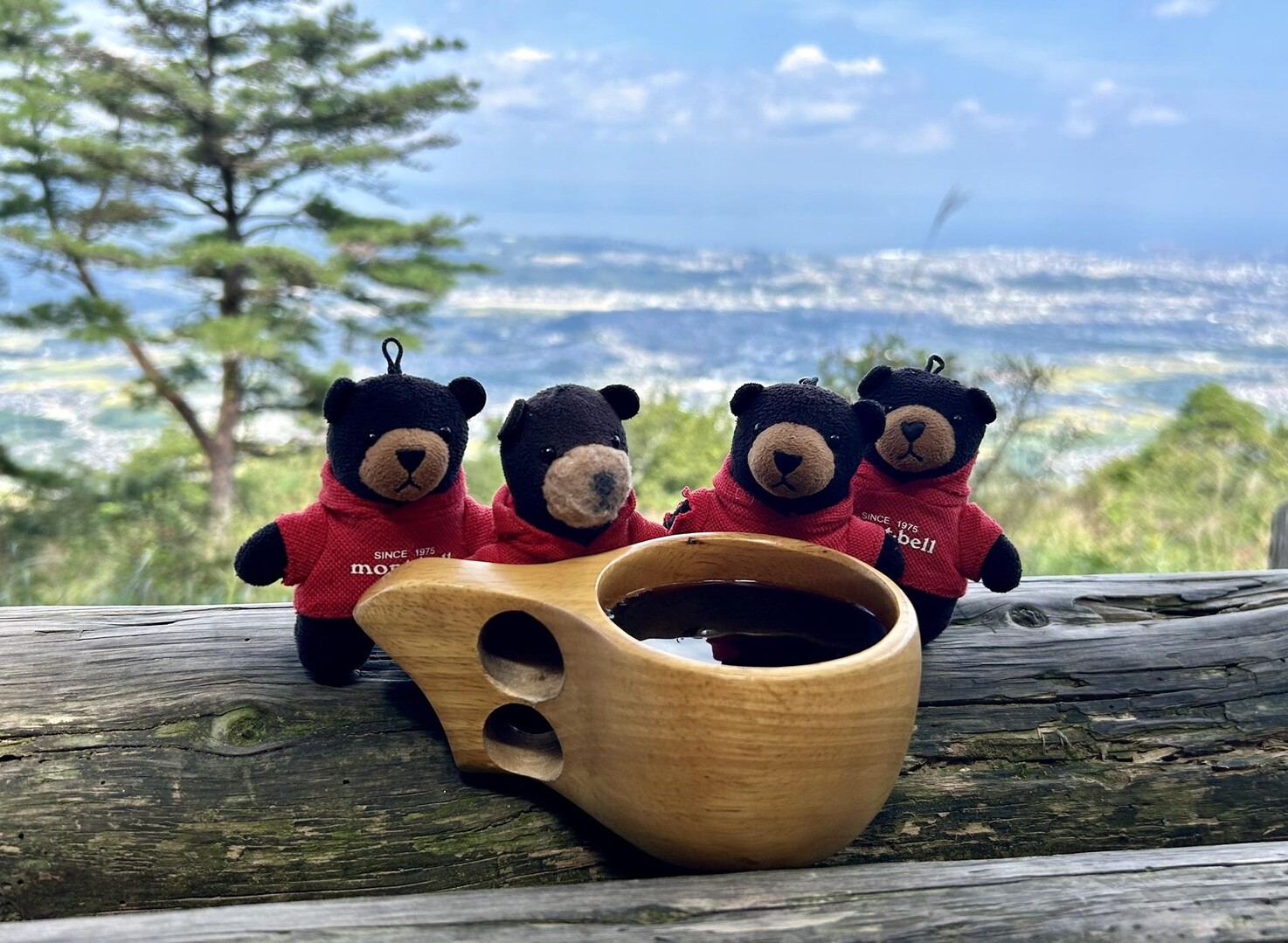 運命の出会い5度目((´∀`*))霊山 / datinさんの障子岳・霊山・飛来山・本宮山の活動日記 | YAMAP / ヤマップ