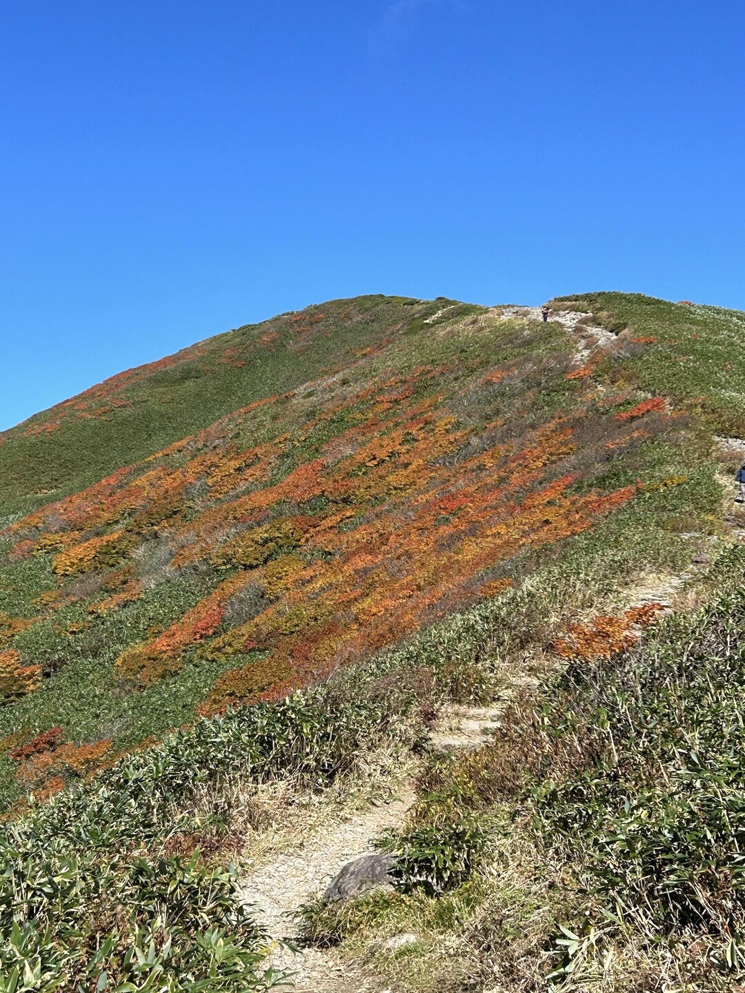 観光客とともにロープウェイからの月山 / でこみさんの月山の活動データ | YAMAP / ヤマップ