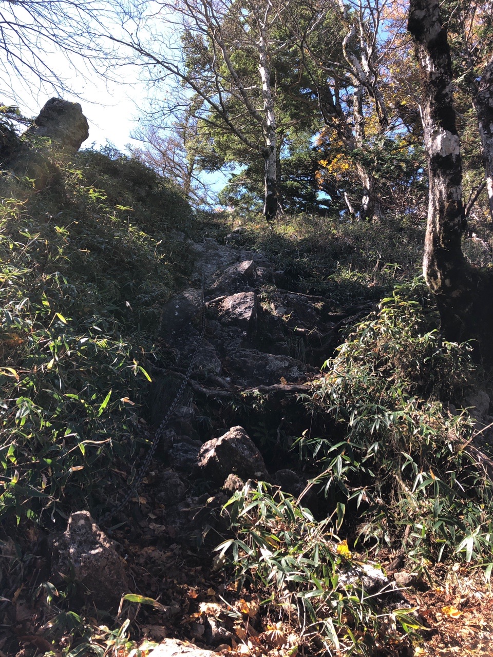 Emmaさんの投稿したフィールドメモ | YAMAP / ヤマップ