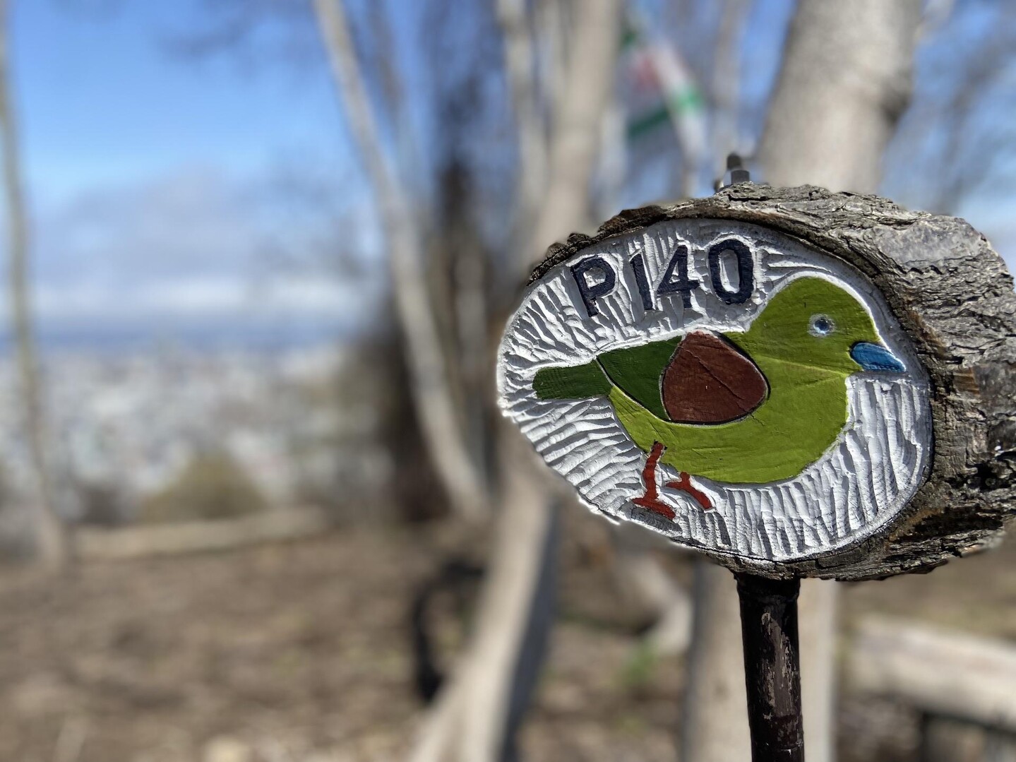 三角山〜大倉山〜奥三角山〜赤坂山🍎🌸🦜🎏 / ︎ YU-tan ︎さんの三角山・大倉山・円山の活動データ | YAMAP / ヤマップ