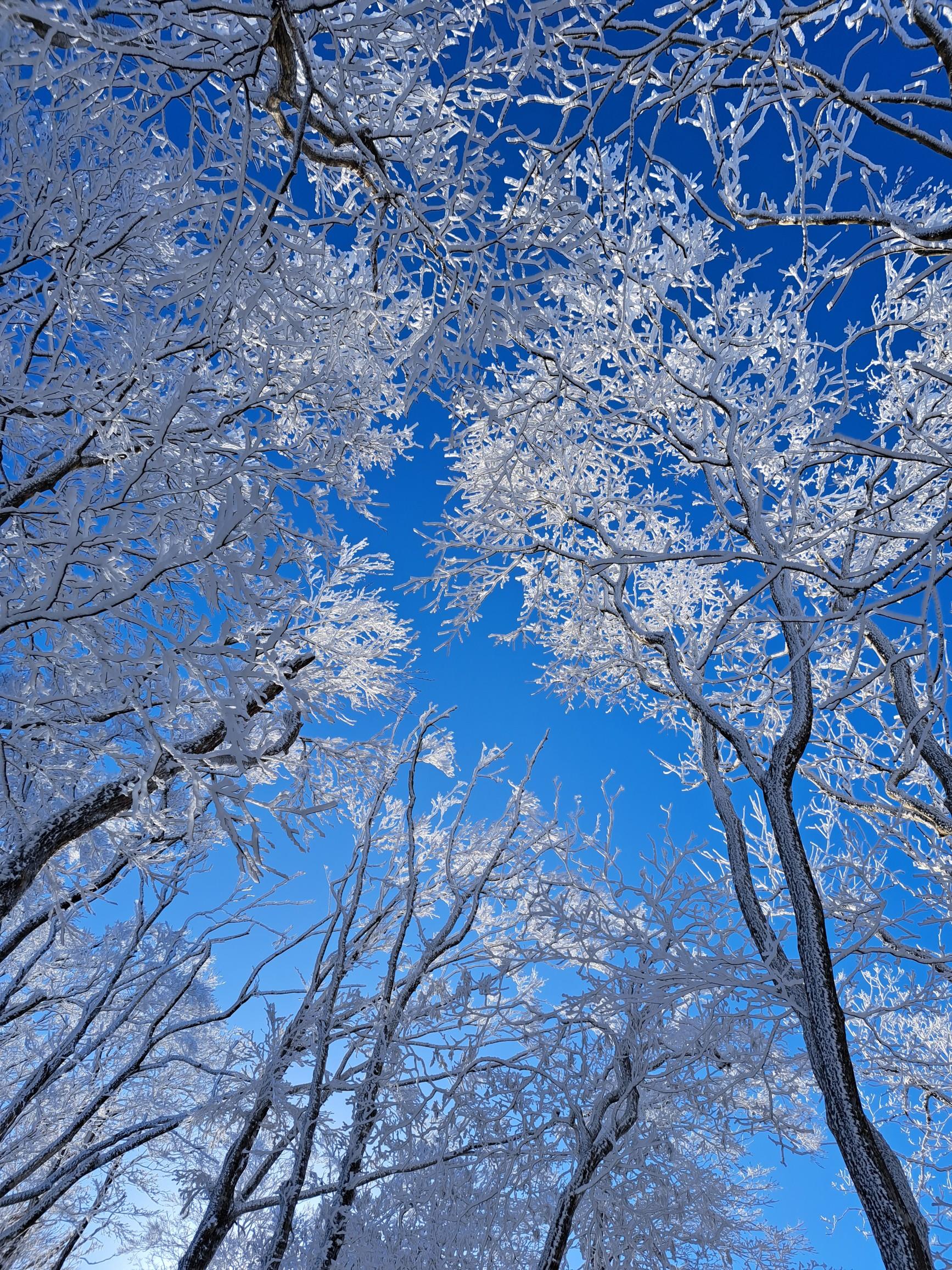 綿向山 / itimiさんの綿向山の活動データ | YAMAP / ヤマップ