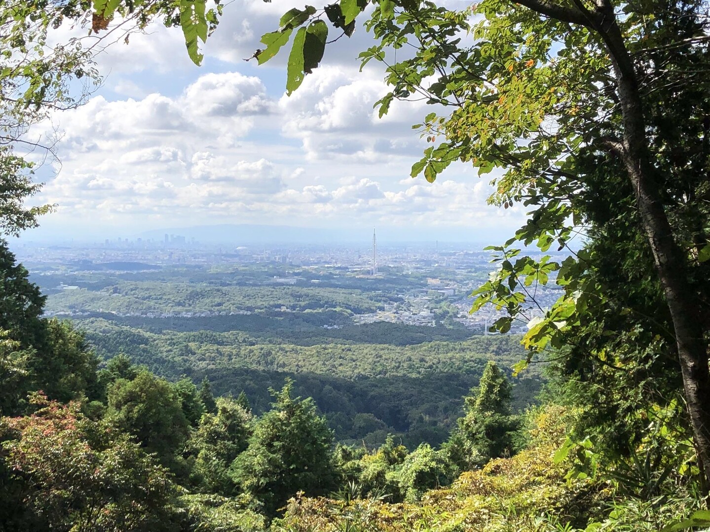 物見山・猿投山でプチ縦走 / n-matsuさんの猿投山・物見山の活動データ | YAMAP / ヤマップ