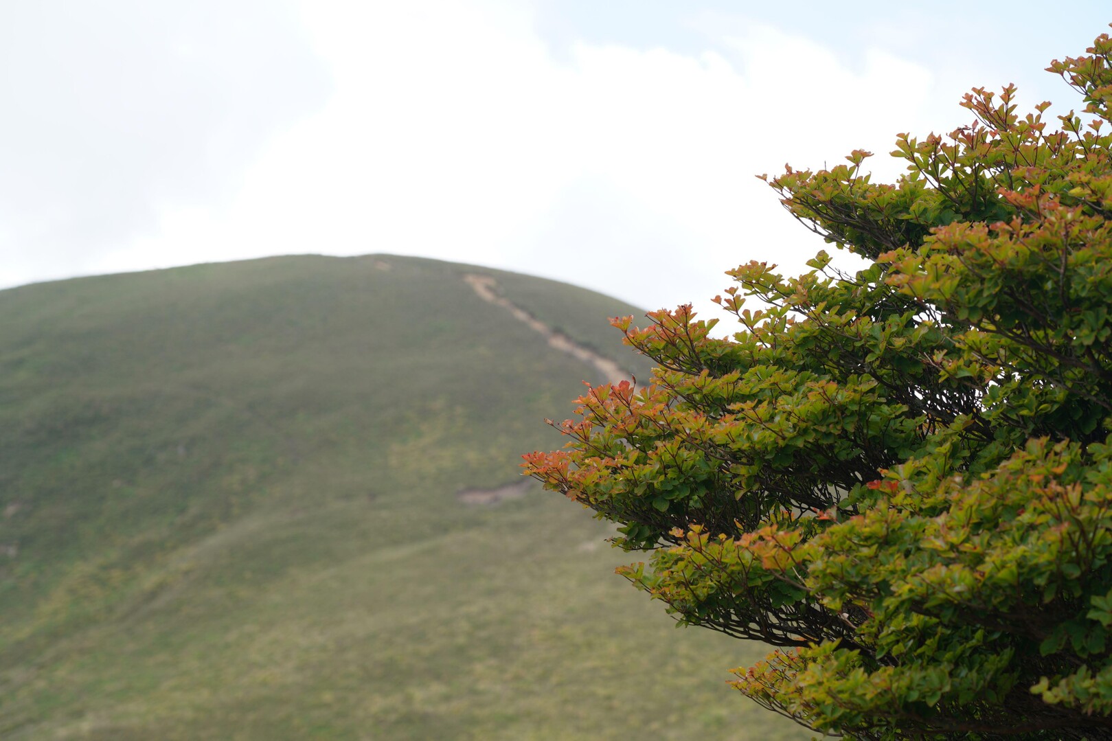 歩荷トレ＠竜ヶ岳 / podoryさんの竜ヶ岳の活動データ | YAMAP / ヤマップ