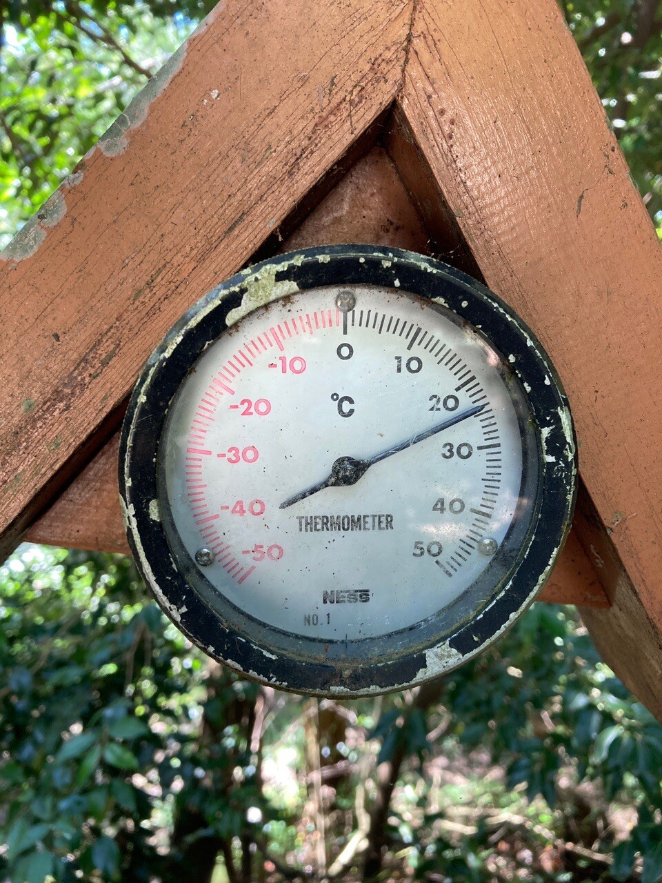 大麻山-2021-08-25 / lazyさんのウォーキングの活動データ | YAMAP / ヤマップ