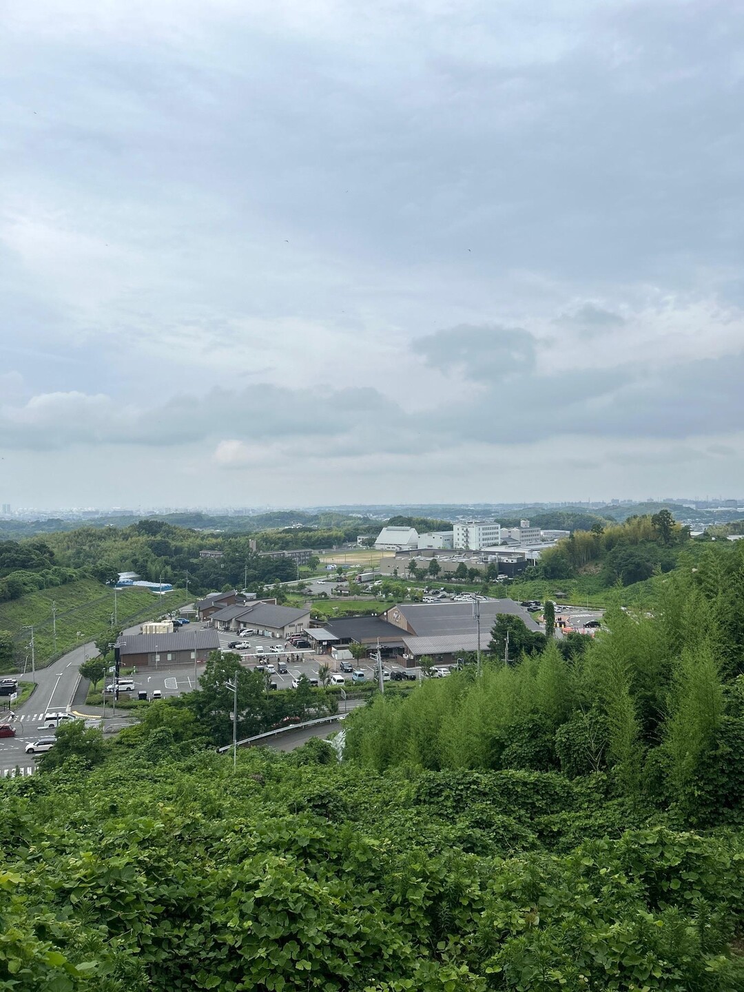 神於山 / Muさんの槇尾山（槙尾山）・和泉葛城山・神於山の活動データ | YAMAP / ヤマップ