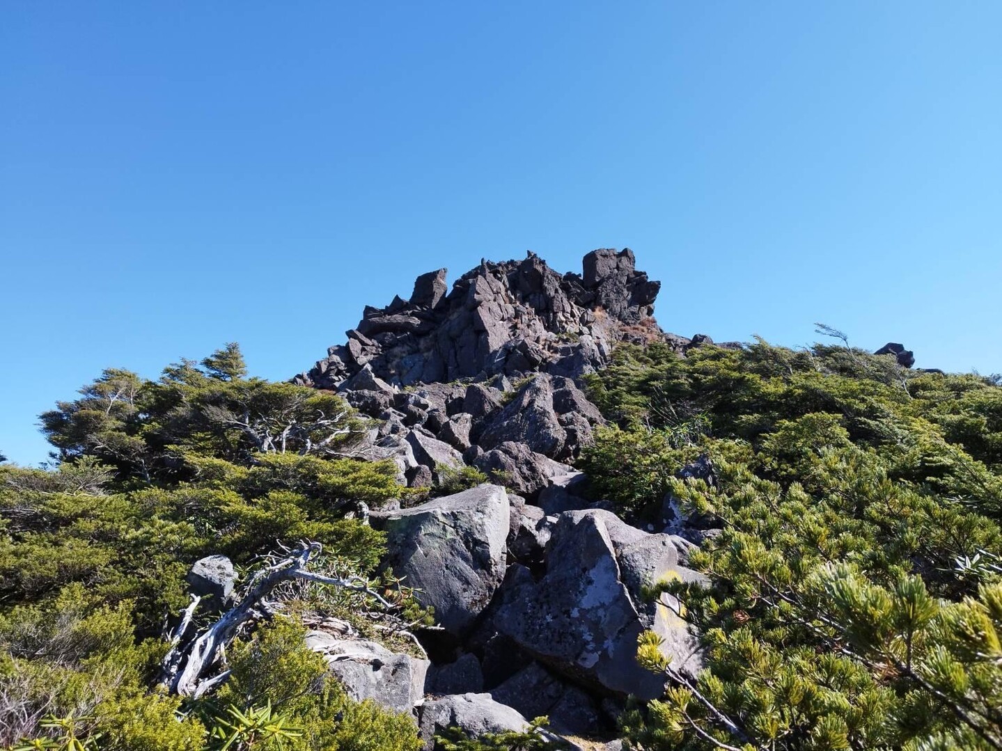憧れの八ヶ岳の北横岳じゃなくて三ッ岳楽し〜い / datera🐻🐻🐻さんの蓼科山・横岳・縞枯山の活動データ | YAMAP / ヤマップ
