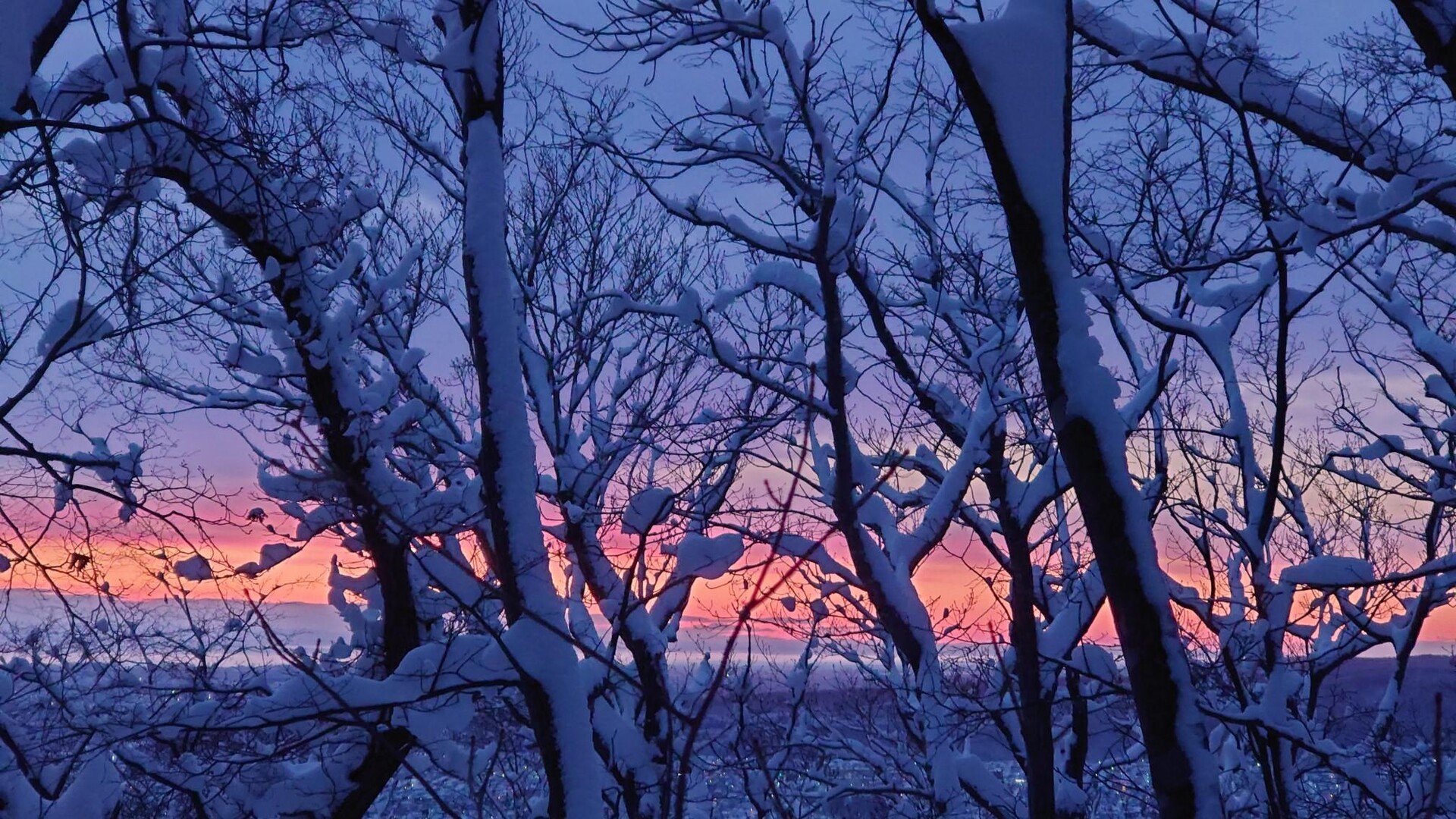山鼻山・藻岩山 / makyさんの藻岩山の活動データ | YAMAP / ヤマップ