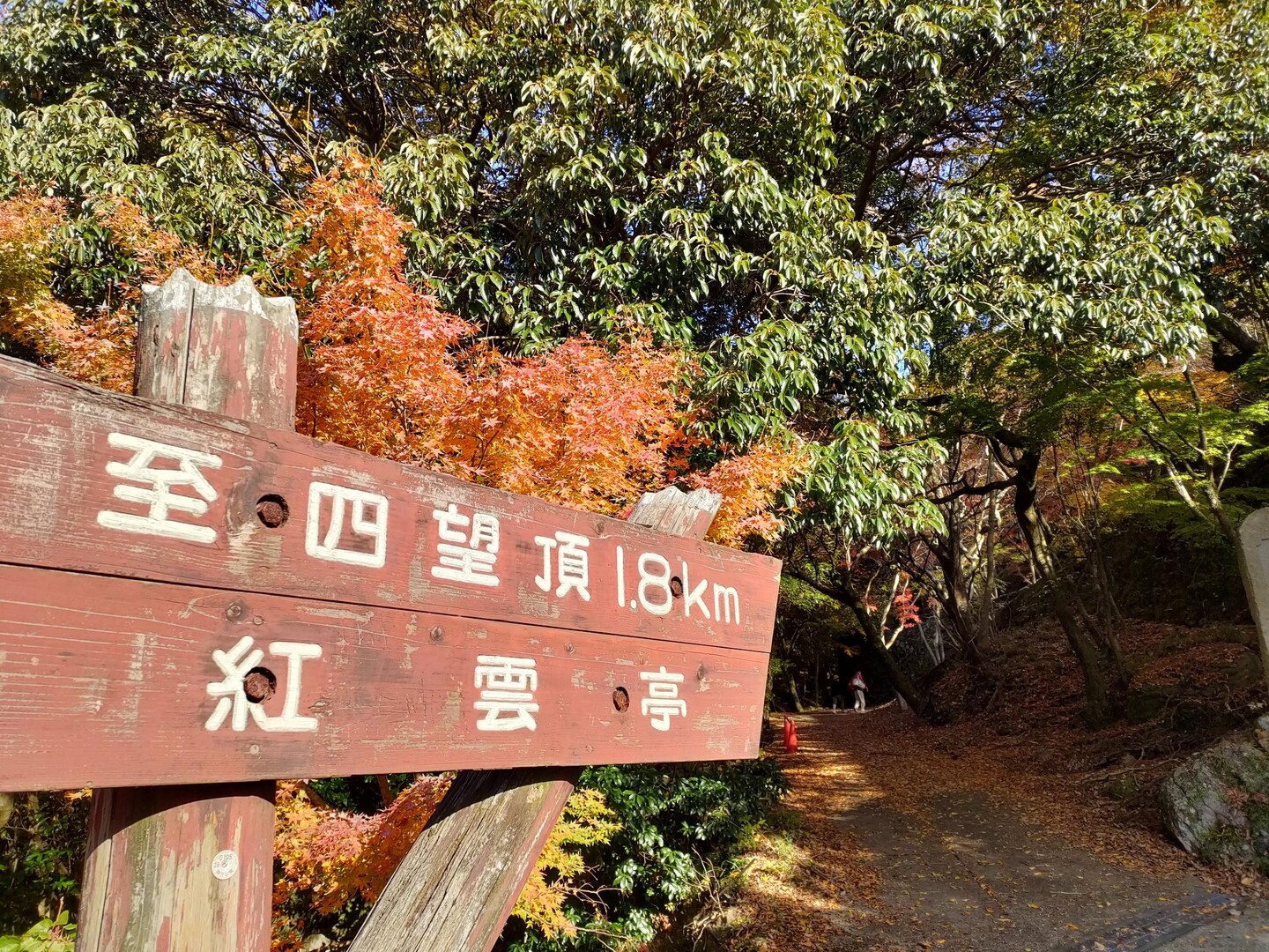 matahari88さんの投稿したフィールドメモ | YAMAP / ヤマップ