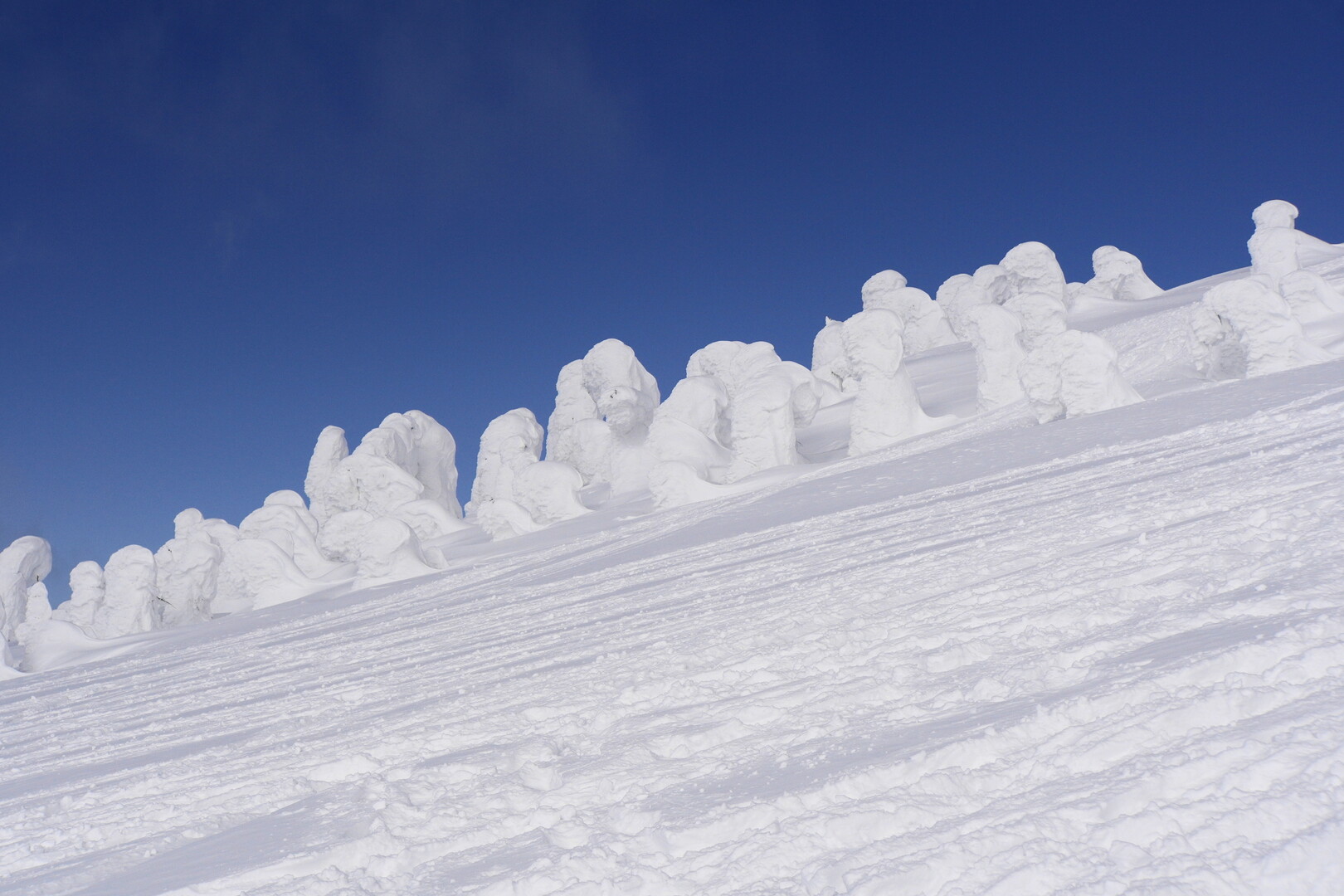 森吉山_青空に輝く樹氷は美しい！ / shunさんの森吉山の活動データ | YAMAP / ヤマップ