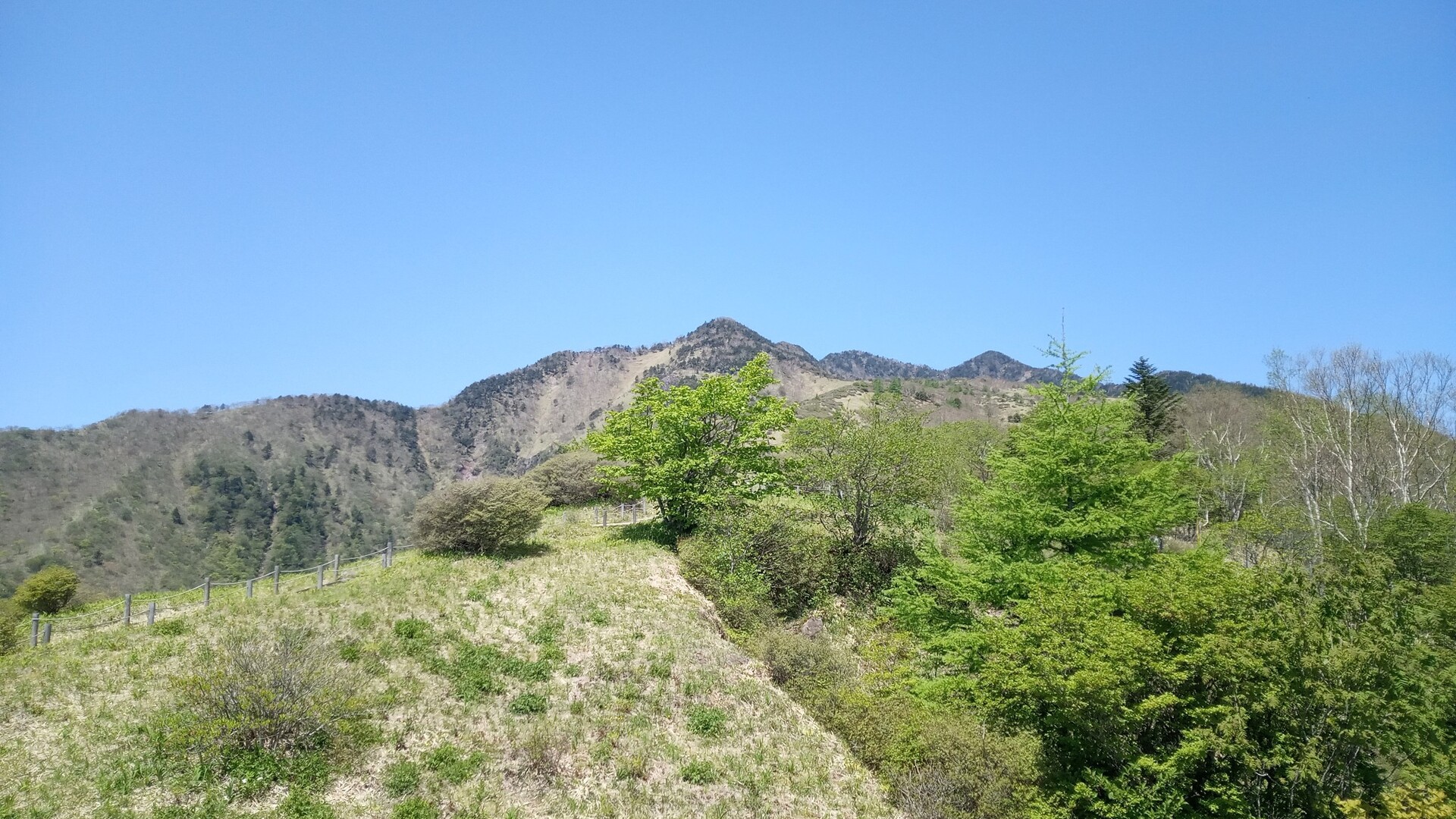霧降高原から赤薙山奥社20220529 / URJさんの女峰山・赤薙山・大真名子山の活動データ | YAMAP / ヤマップ