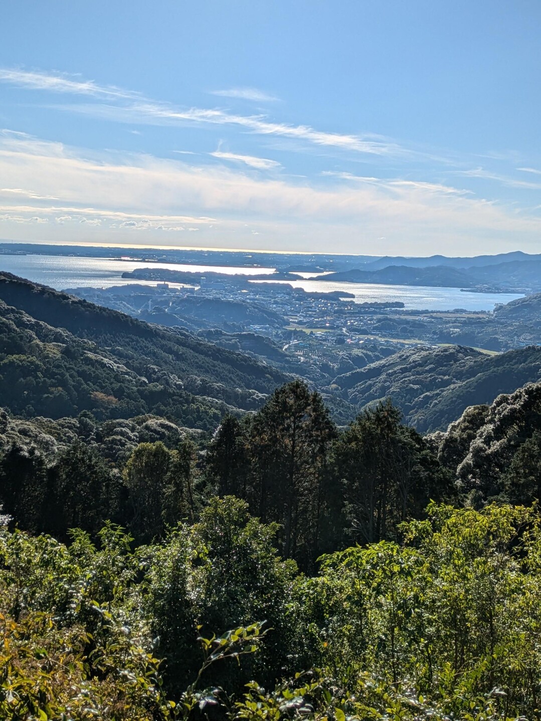 尉ヶ峰 2024.11.24 / sim.simさんの富幕山・尉ヶ峰・竜ヶ石山の活動日記 | YAMAP / ヤマップ