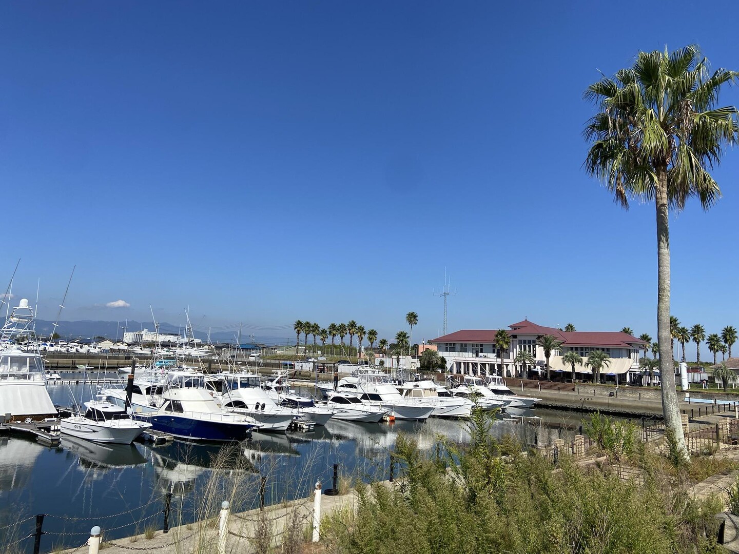 たまには海でも(*´∀`)੭ꠥ⁾⁾ Go... / えりぃさんのモーメント | YAMAP / ヤマップ