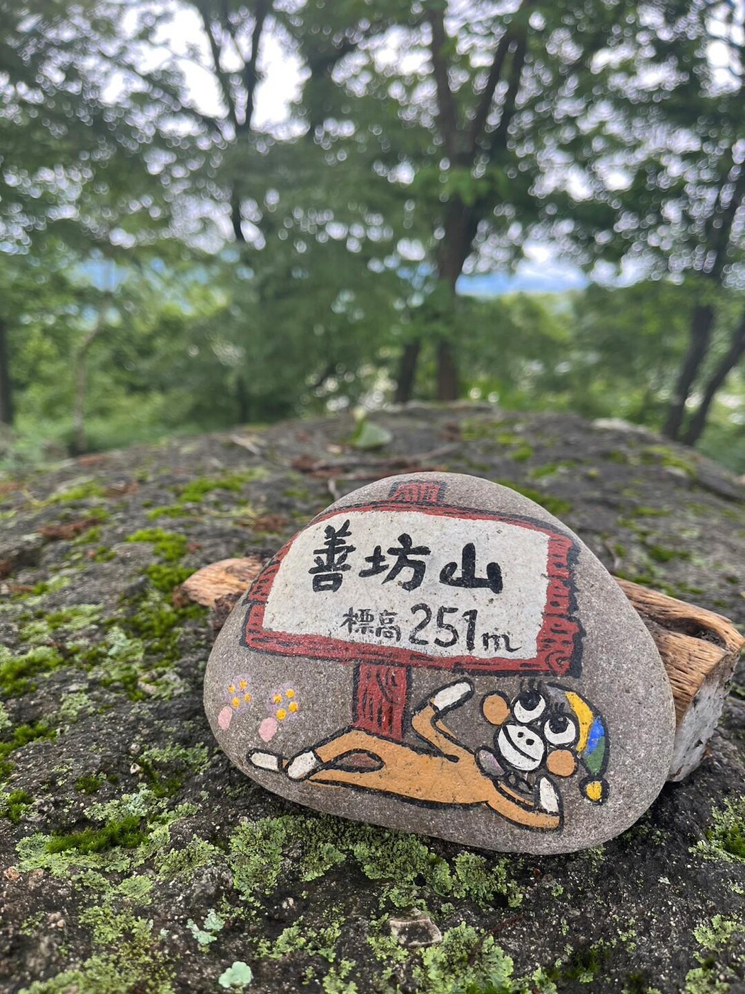 善防山・笠松山 / HEY太郎さんの加西アルプス・笠松山・善防山の活動日記 | YAMAP / ヤマップ