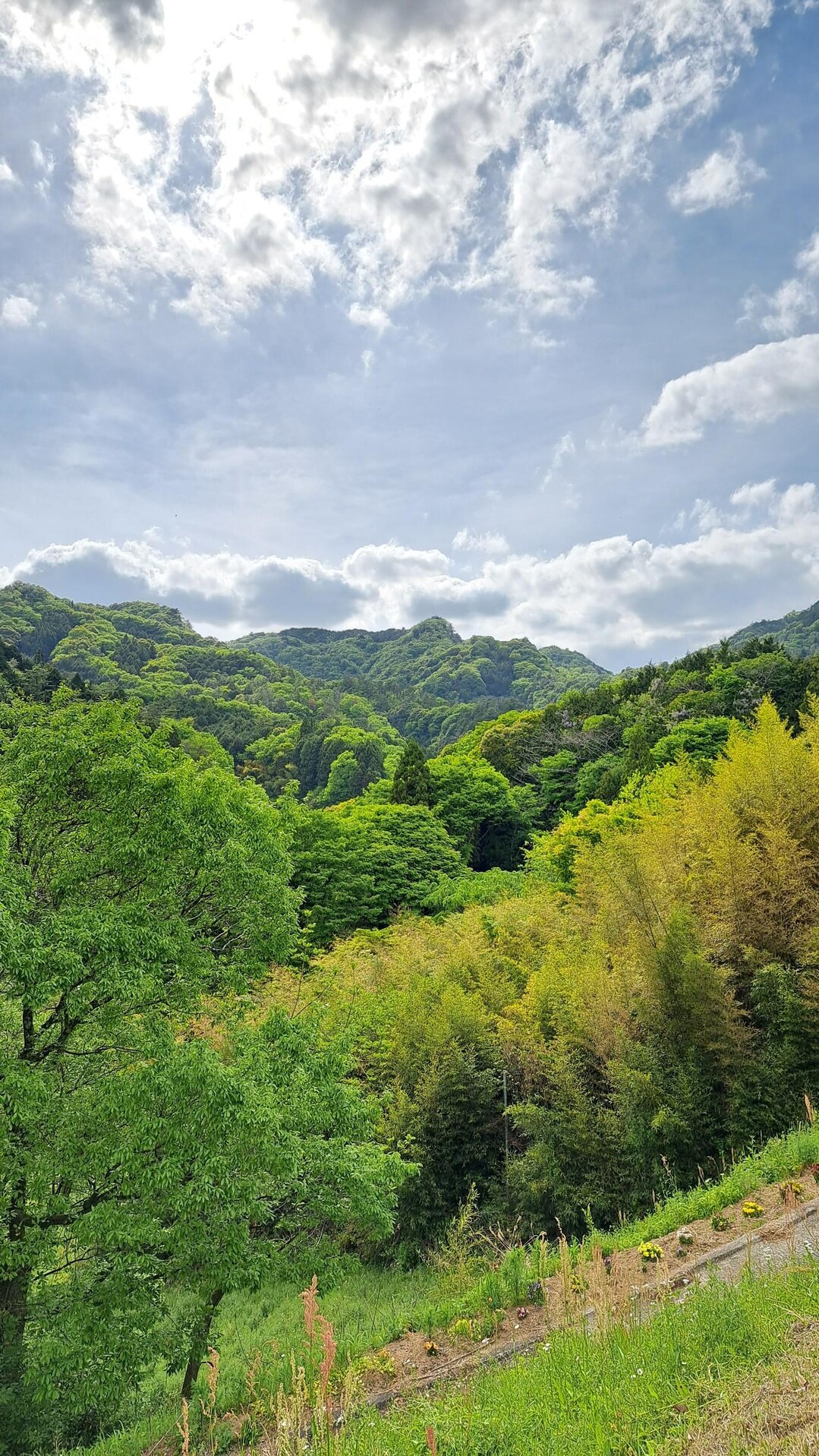 西金砂山・鷹取山 / str_0307さんの奥久慈男体山・月居山・篭岩（篭岩山）の活動データ | YAMAP / ヤマップ