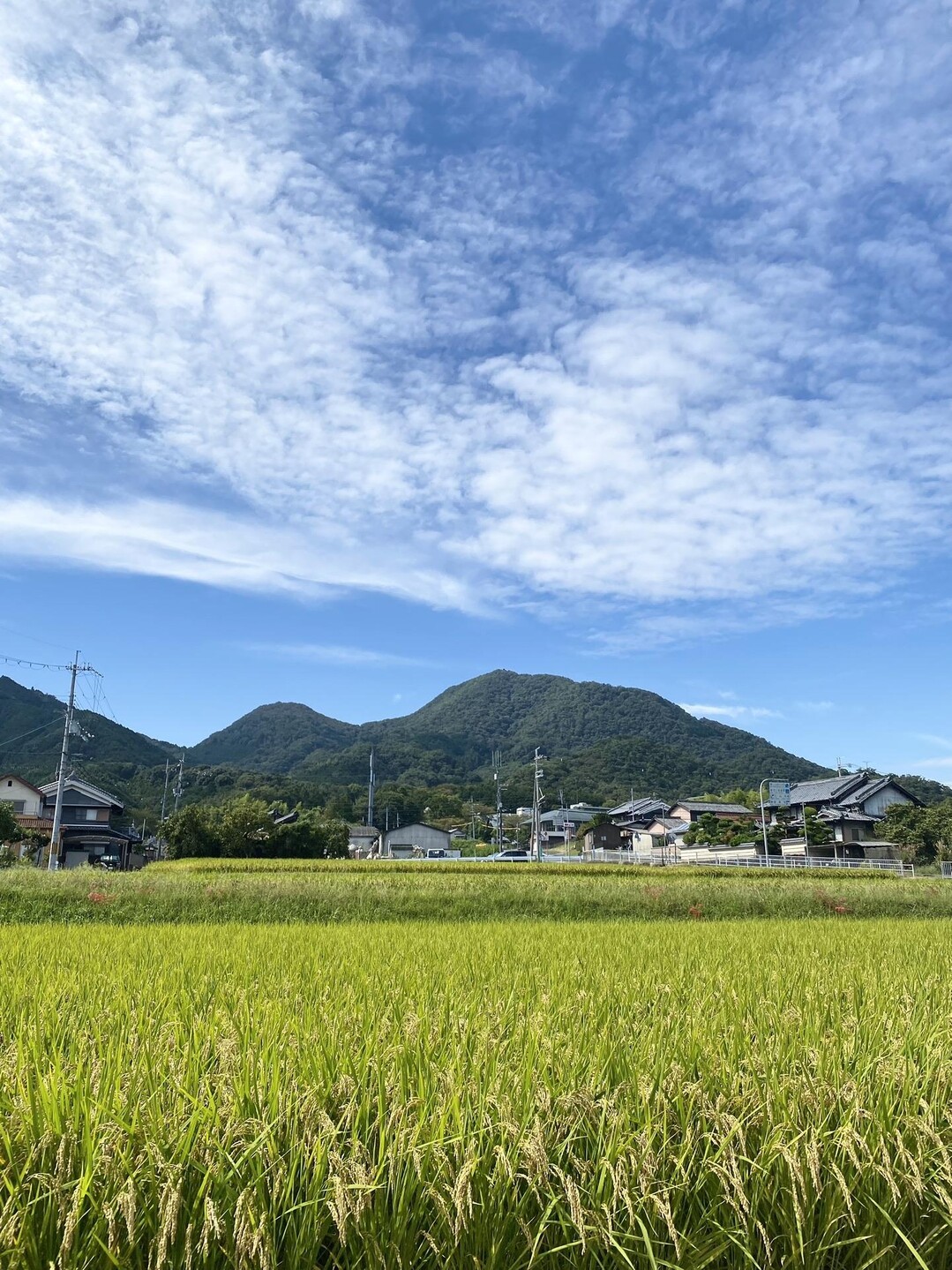 二上山（雄岳）・二上山（雌岳） / erinさんの葛城修験エリアマップ（二上山周辺）の活動データ | YAMAP / ヤマップ