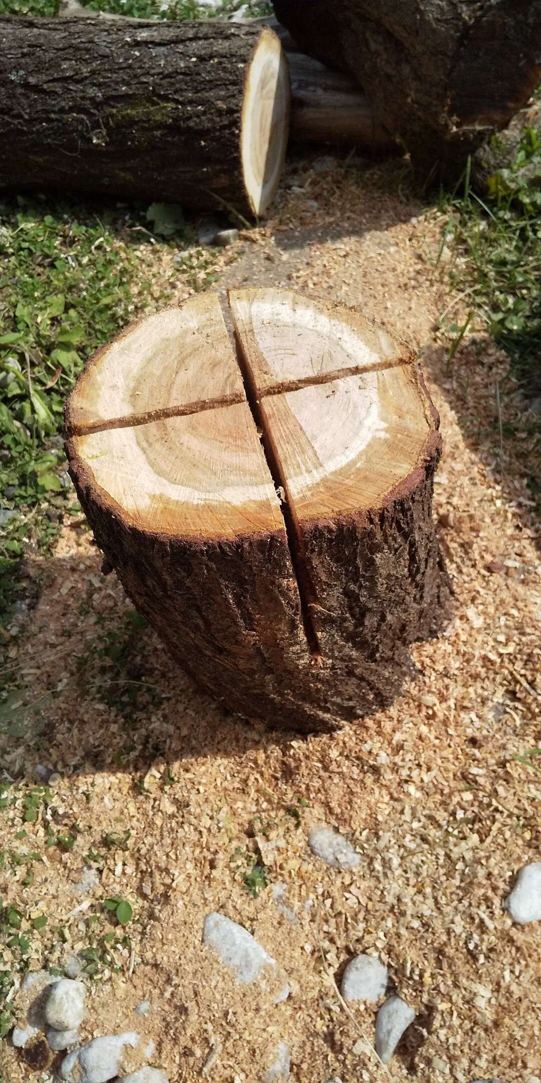 Swedish torch 暑い一日だっ... / nickさんのモーメント | YAMAP / ヤマップ