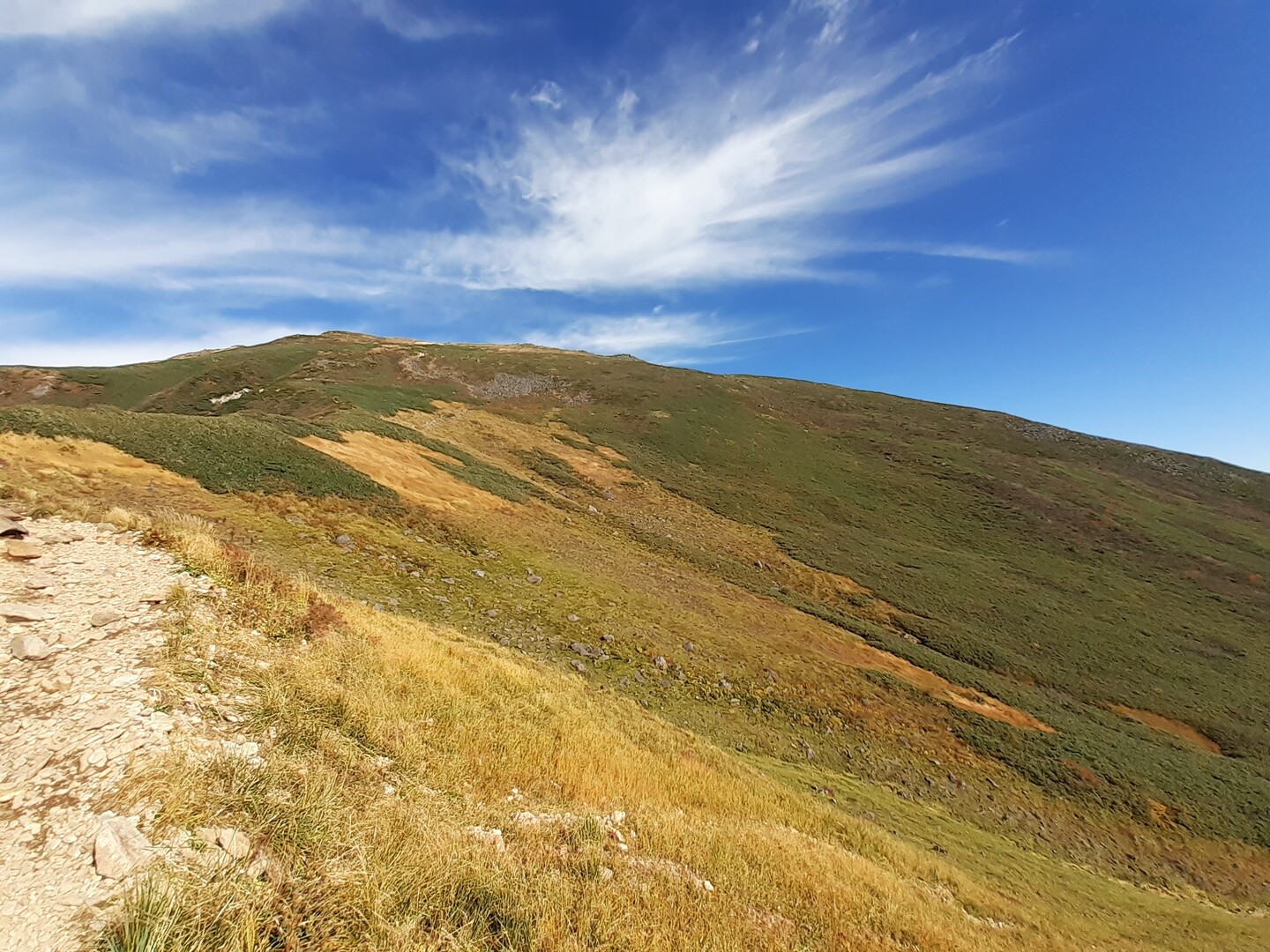 月山歩くとムーンウォーク⁉️ / kiloさんの月山の活動データ | YAMAP / ヤマップ