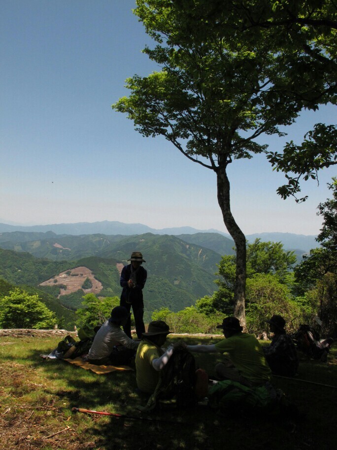 初夏の黒岳、山シャクどこに？ 道路整備のトレッキング！ / 霧島さんの揺岳・祇園山の活動日記 | YAMAP / ヤマップ