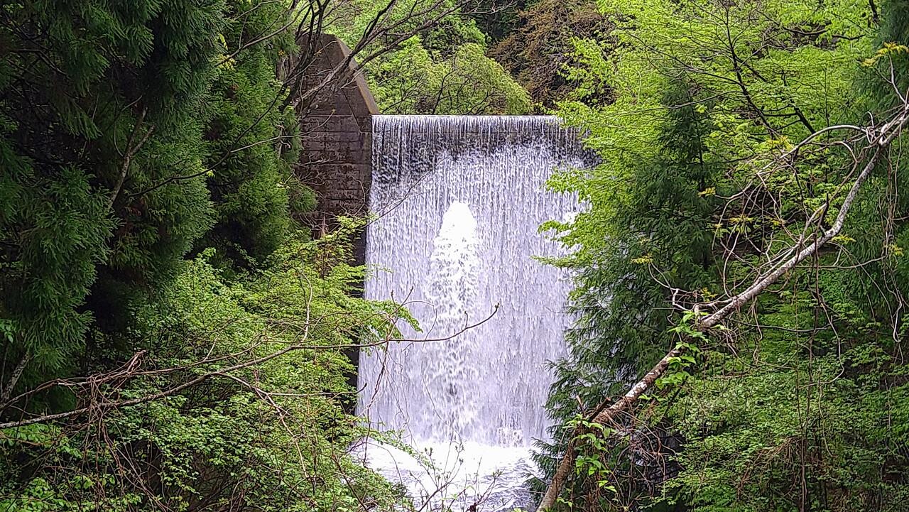 雨上がりの後山 / LIONさんの後山・船木山・駒の尾山の活動データ | YAMAP / ヤマップ